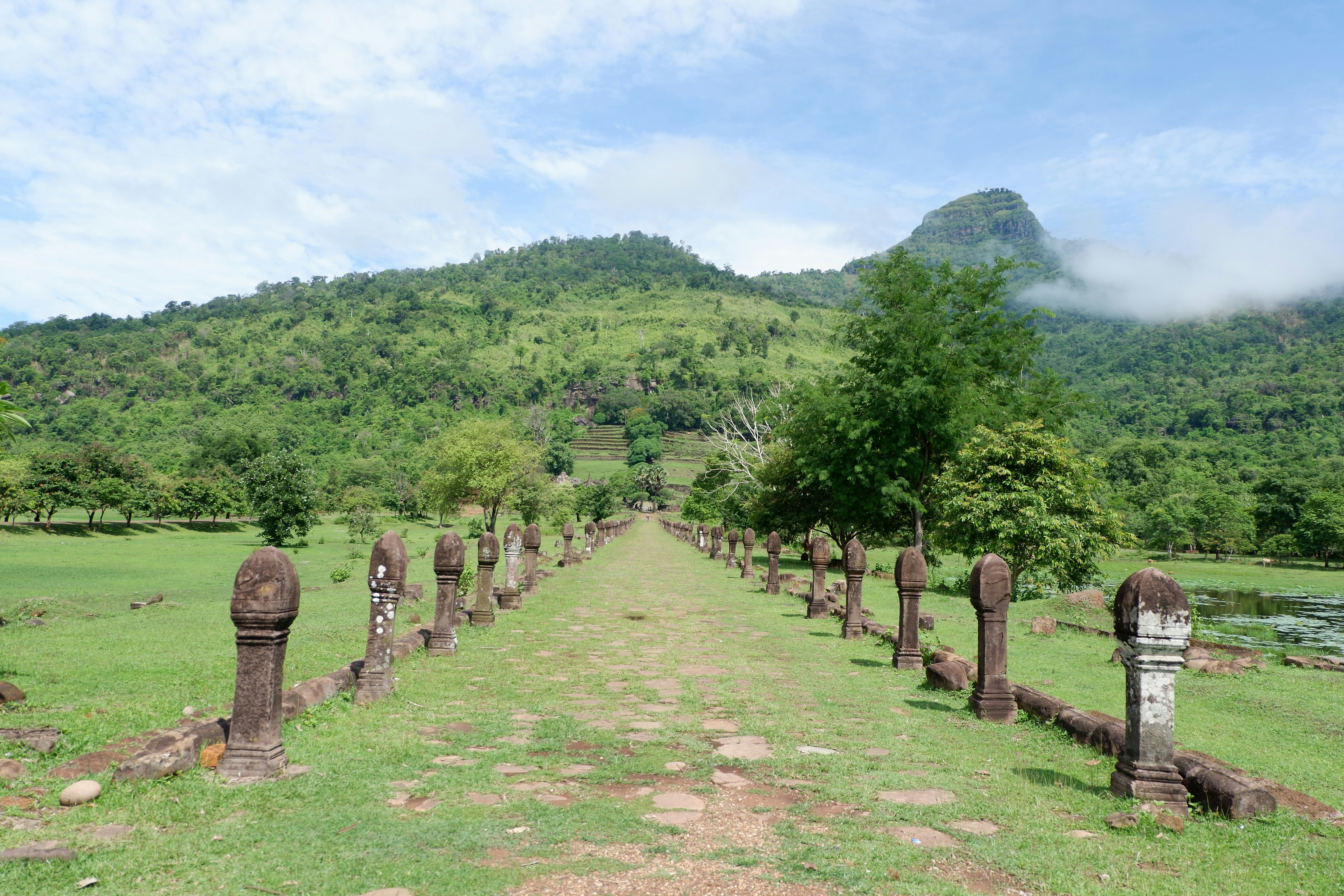 Stone Sentinels Along a Verdant Avenue Toward a Misty Horizon
