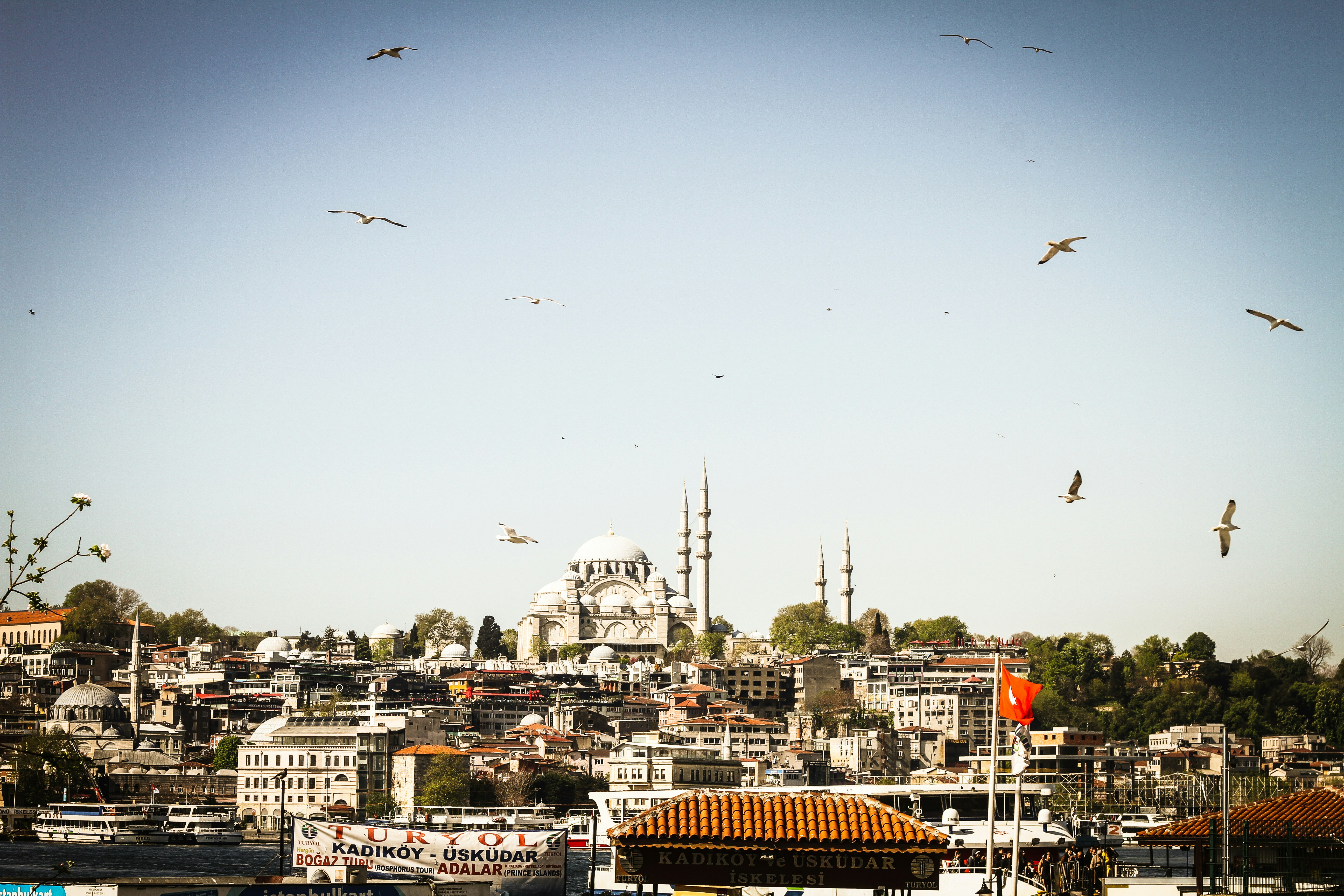 Dawn Over Istanbul: Domes, Minarets, and a Sky Full of Wings