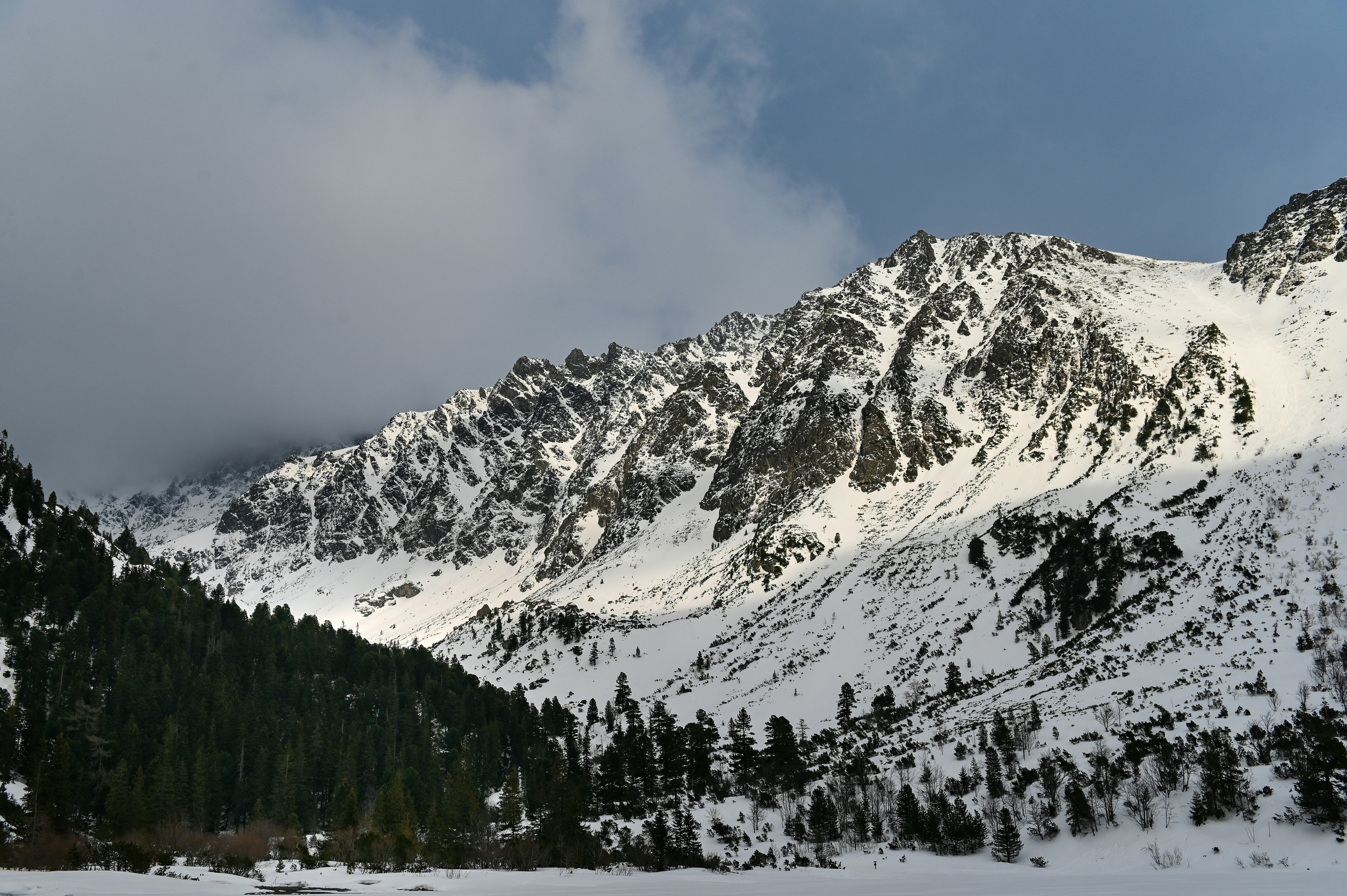 Snow-covered mountains under a partly cloudy sky with dense forest at the base.