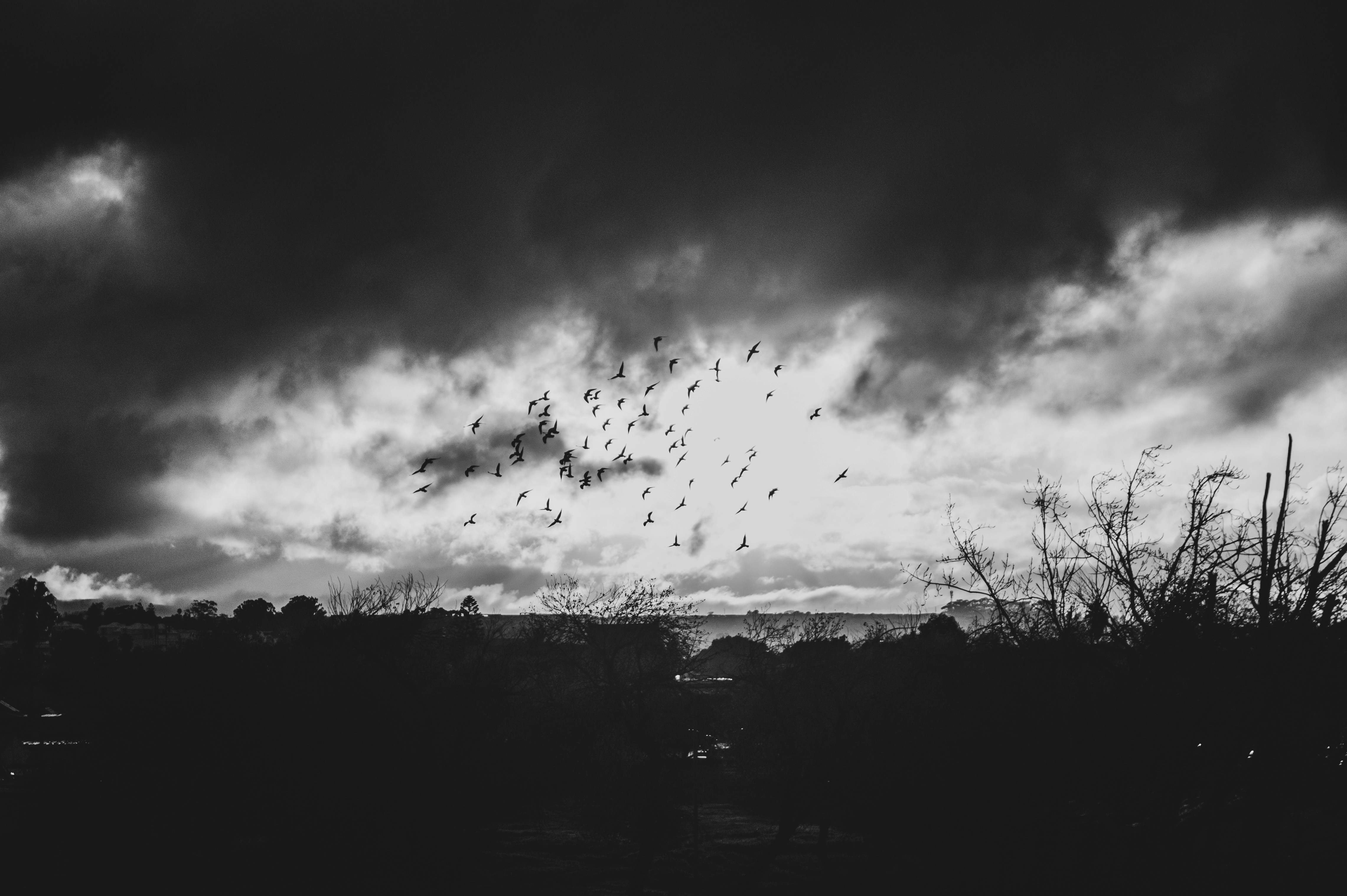 Photo by Jean-Baptiste D. with Sony Alpha 290