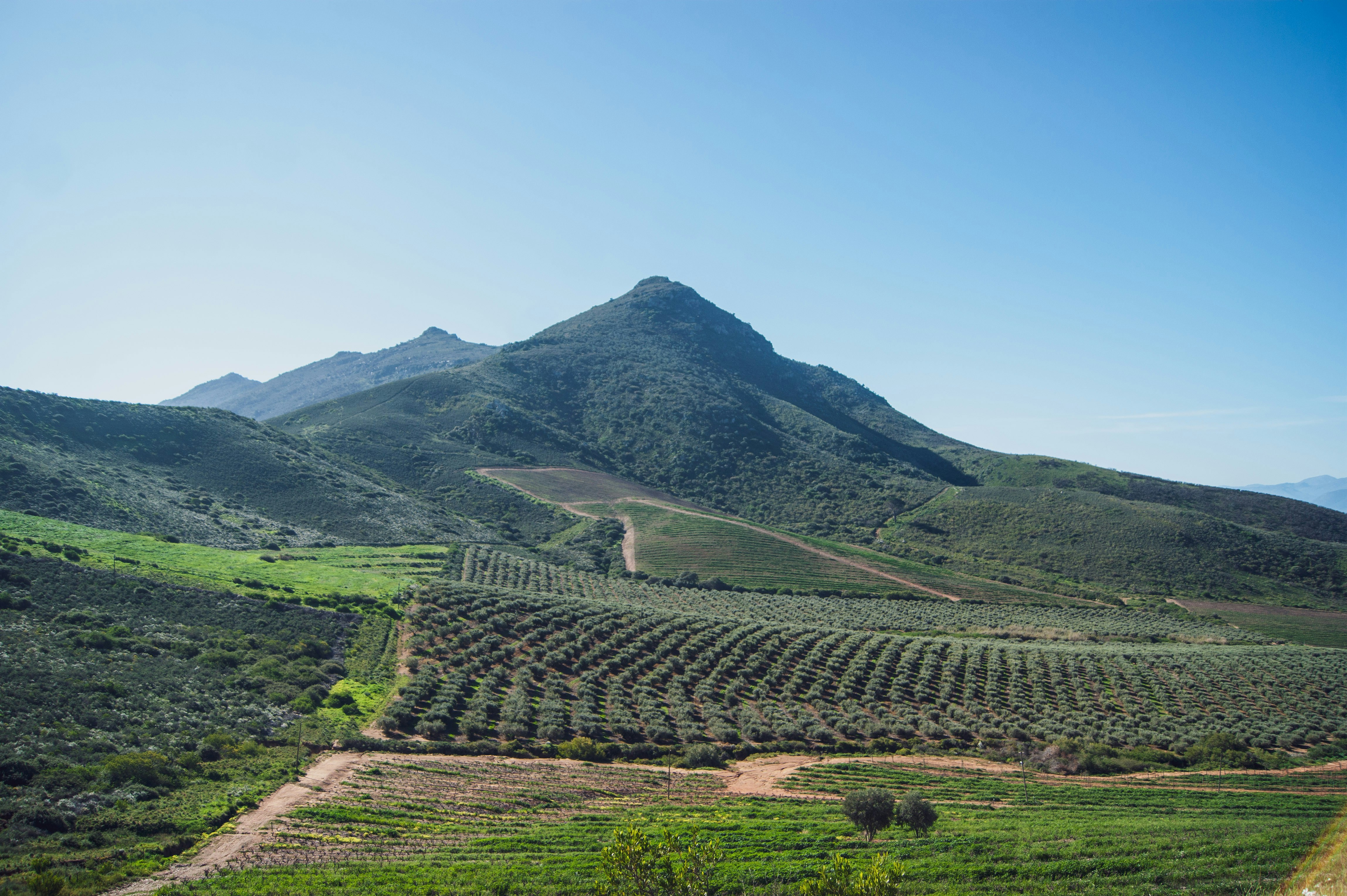 Lush agricultural fields stretch across the valley, framed by rolling hills and a prominent mountain peak under a clear blue sky.