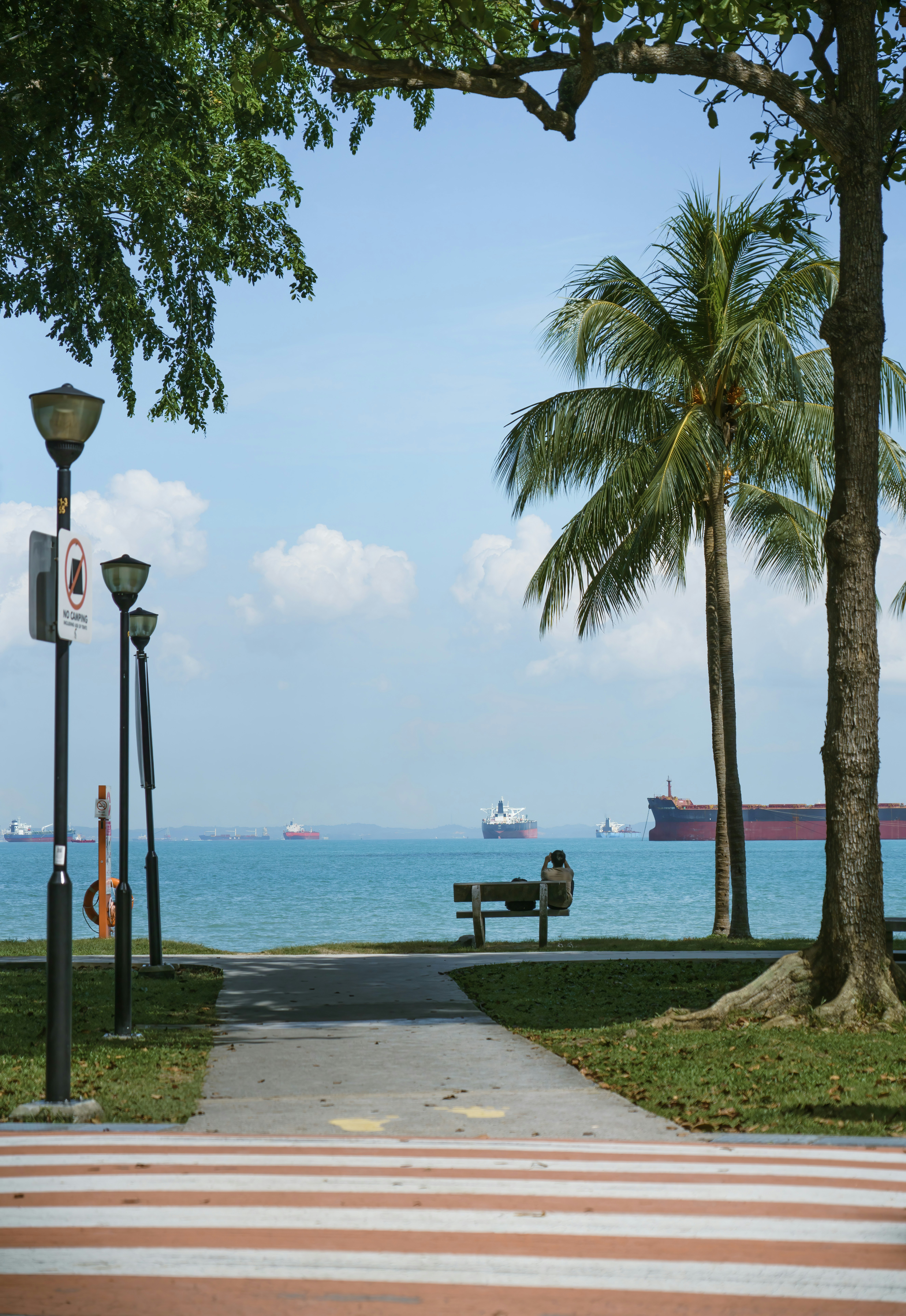 Bench by the Sea: Palm-Framed Promenade Toward Distant Freighters