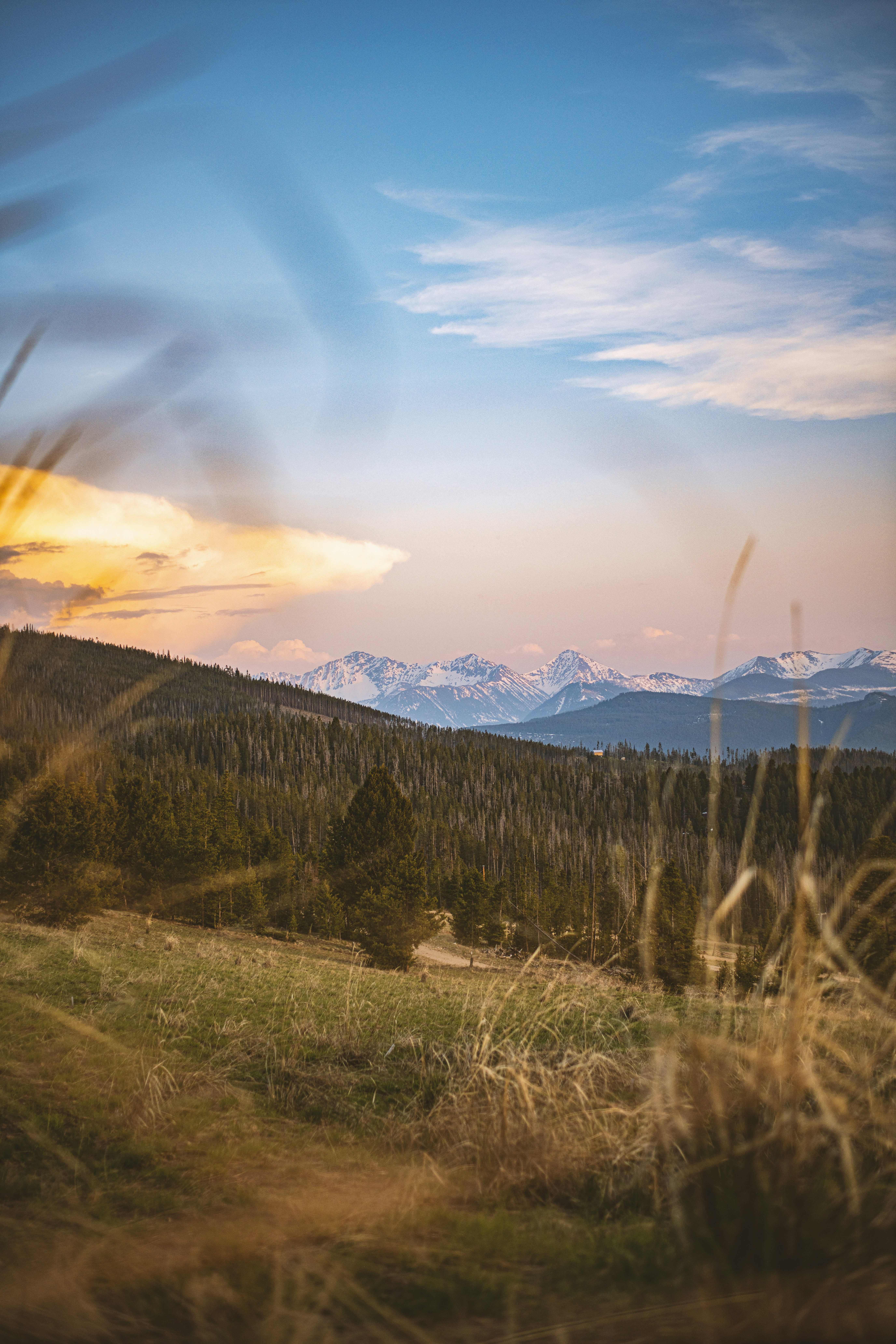 Ridge View at Dusk: Golden Grass and Snow-kissed Peaks
