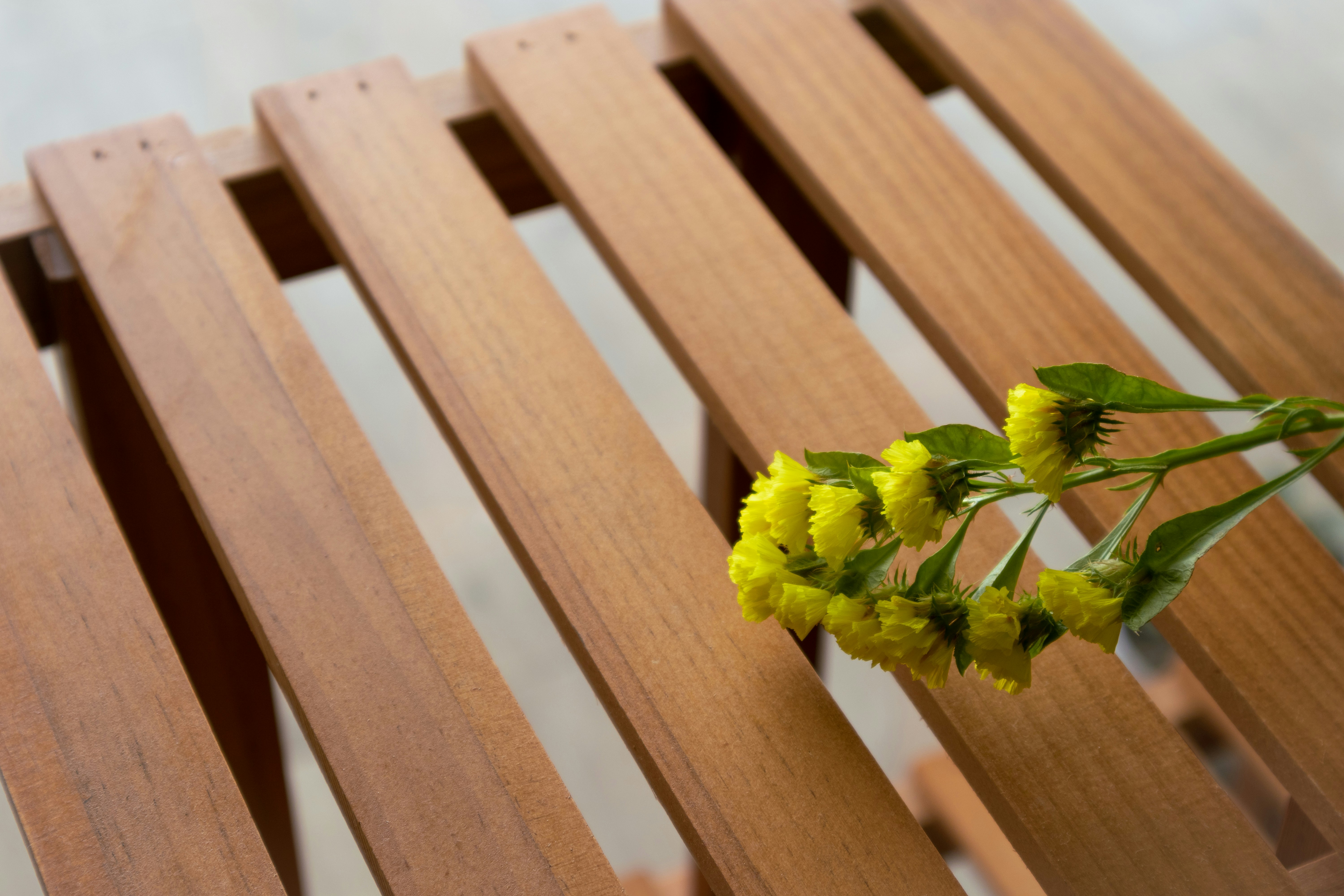 Sunlit Yellow Bouquet Resting on Warm Wooden Slats