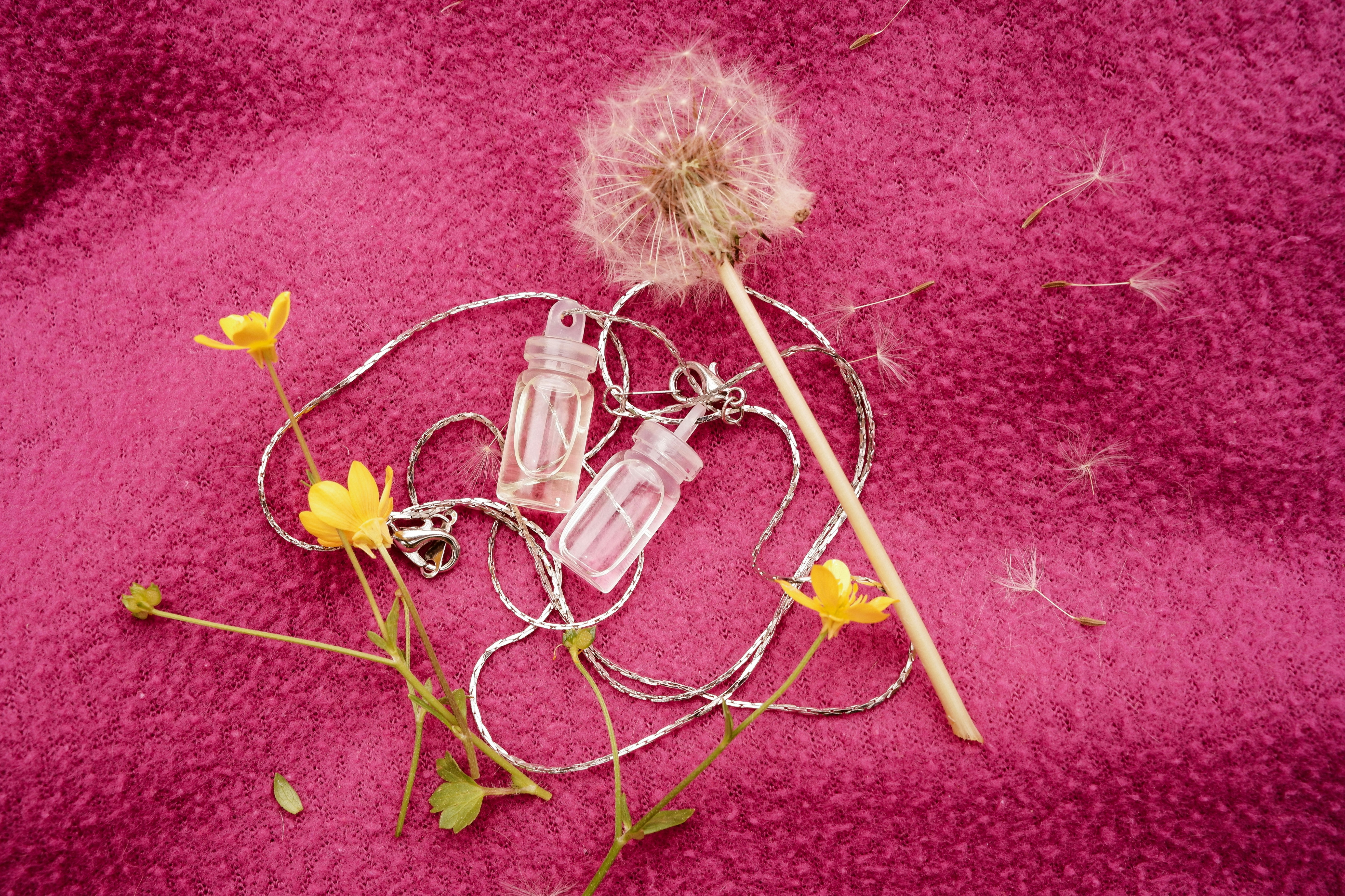 Dandelion Halo on Magenta Velvet: Seeds, Cords, and Yellow Blooms