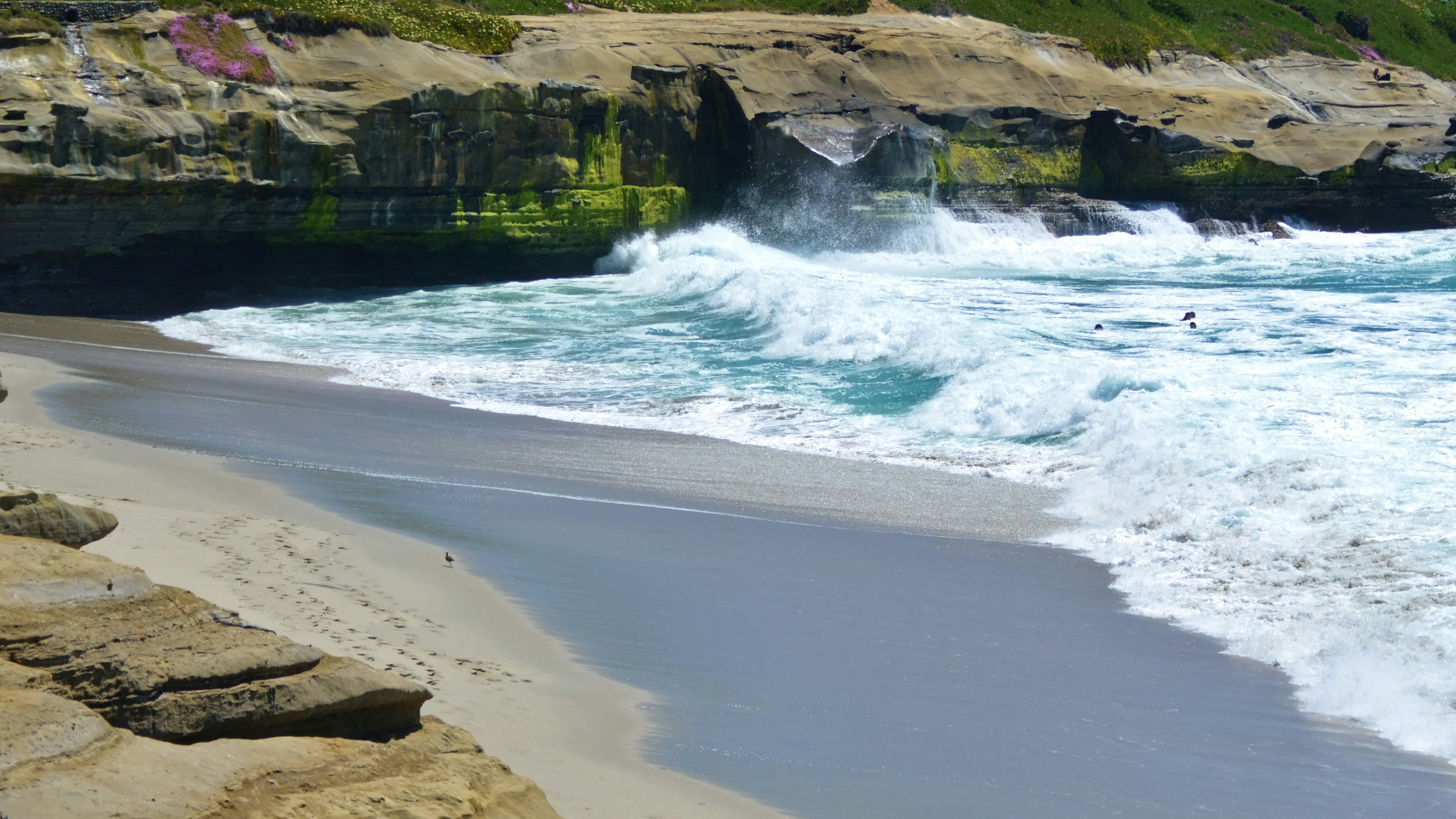 Daniel Gimbel (@daniel_gimbel) | Unsplash Photo Community