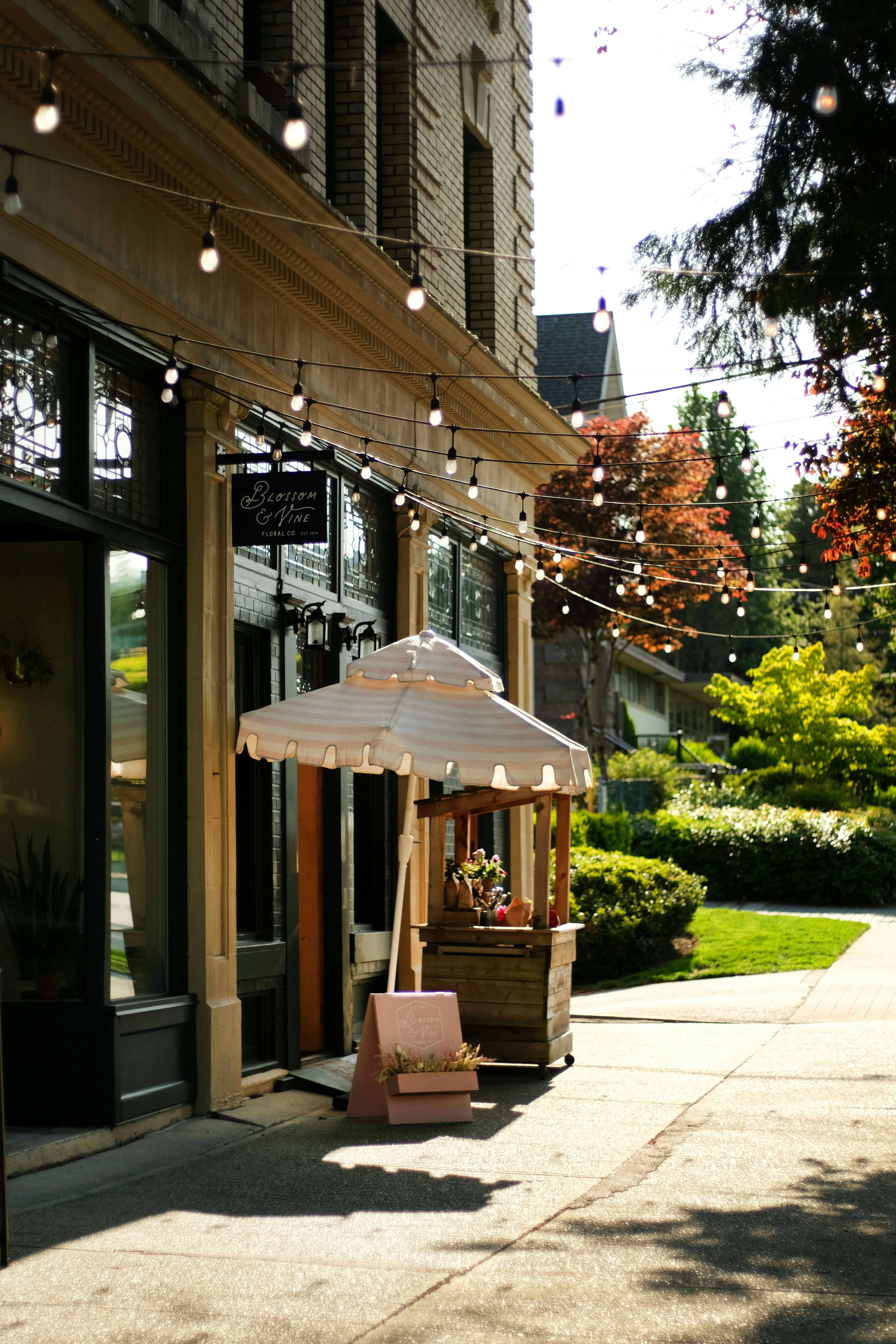 String Lights and Charming Facade: A Slice of Main Street Ambience