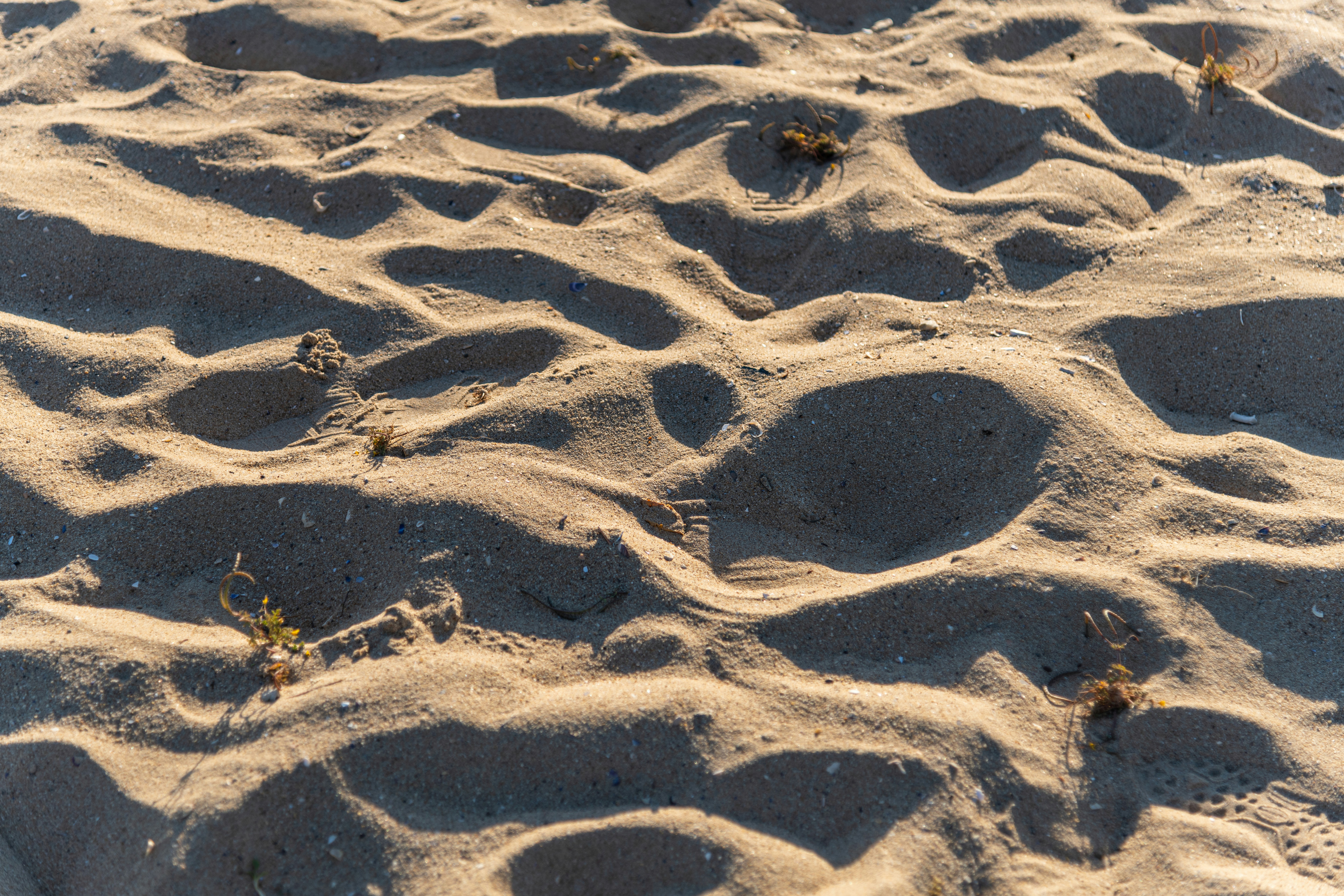A close up of a sandy beach with footprints in the sand photo – Free ...