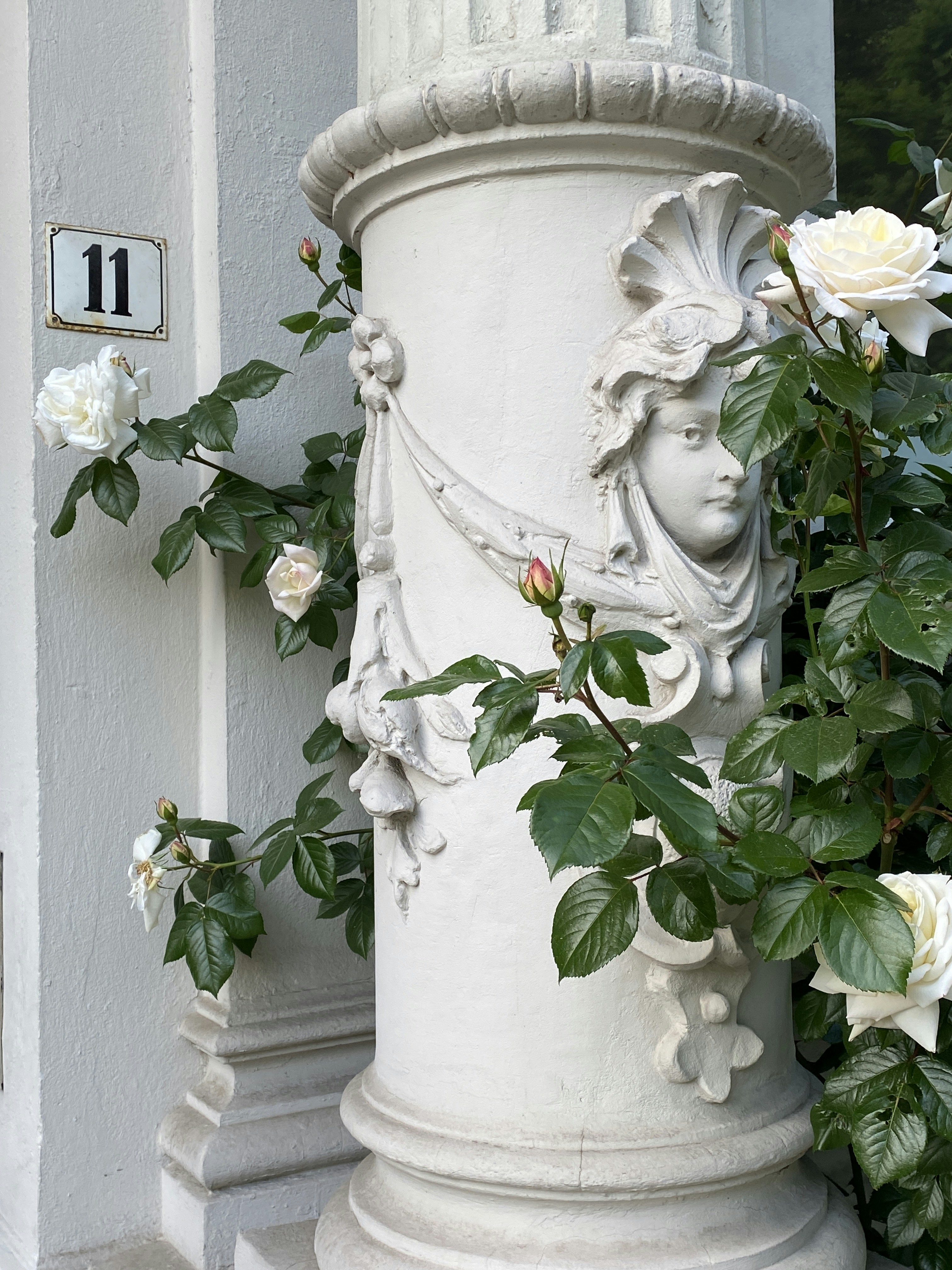 Stone Portrait Guarded by White Roses on a Garden Column