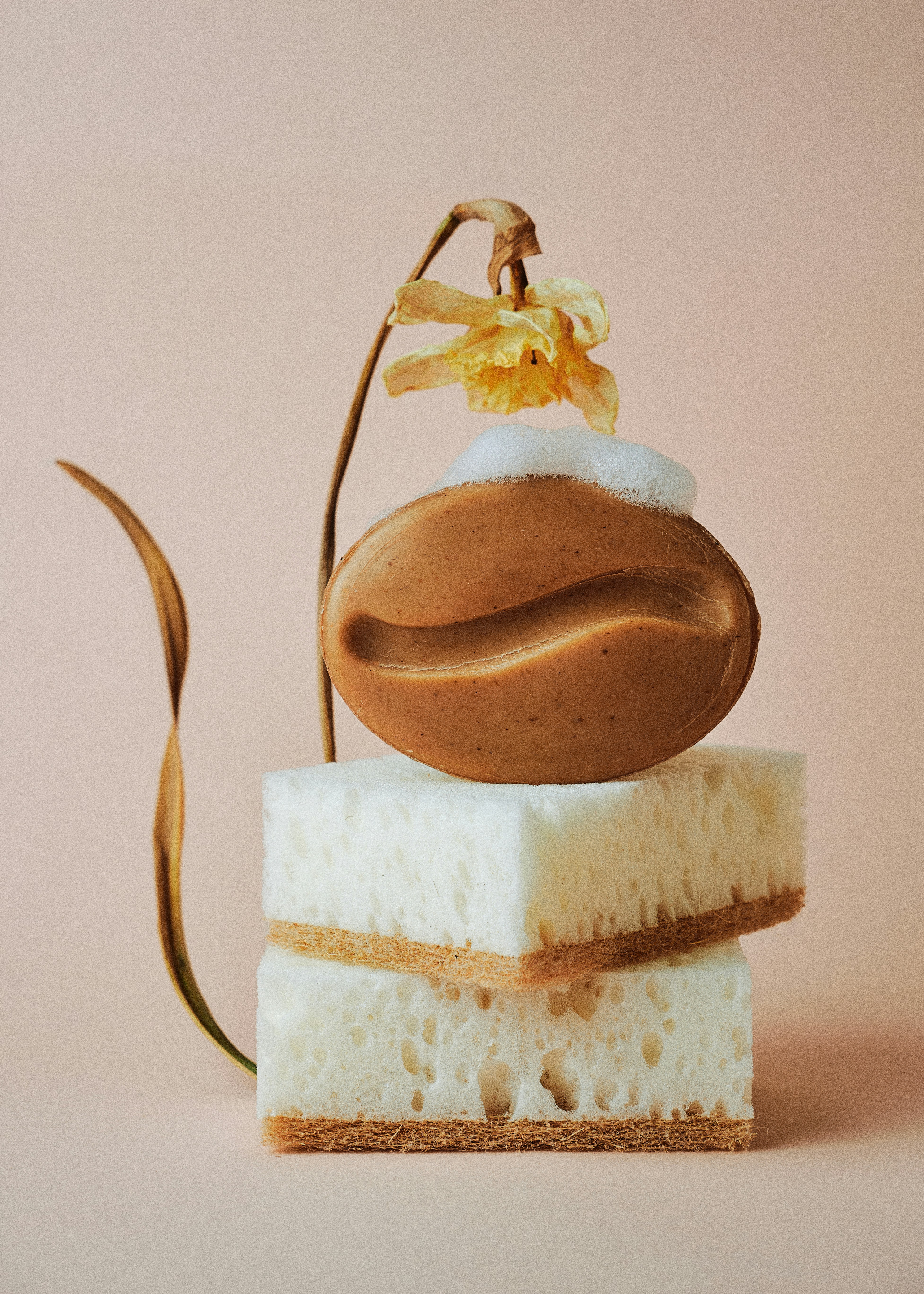 Smooth brown oval balances atop a two-layer white sponge stack with a thin beige seam, accompanied by a dried flower on a curved stem against a soft pink background.