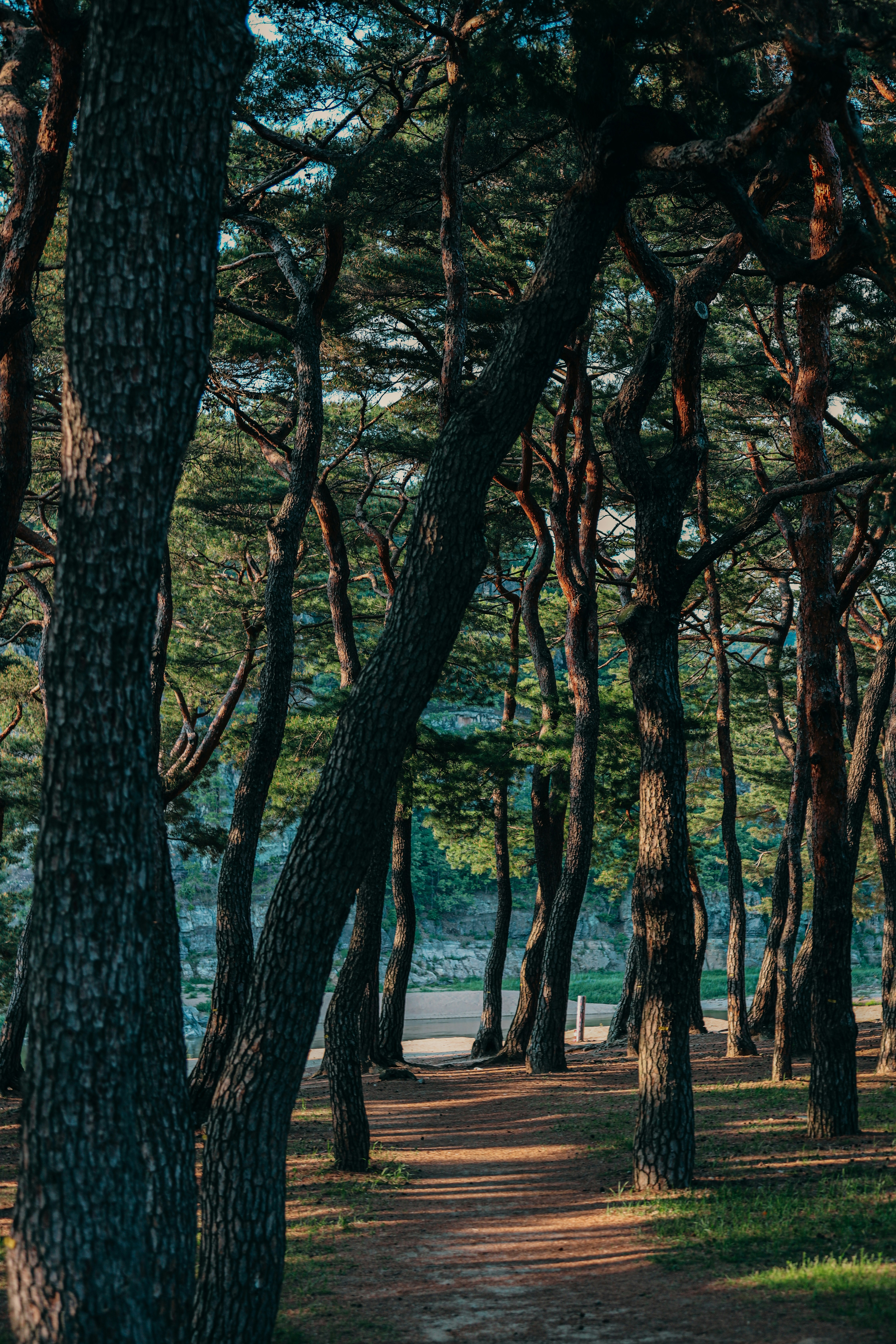 Photo by Jisoo Park with Canon EOS R