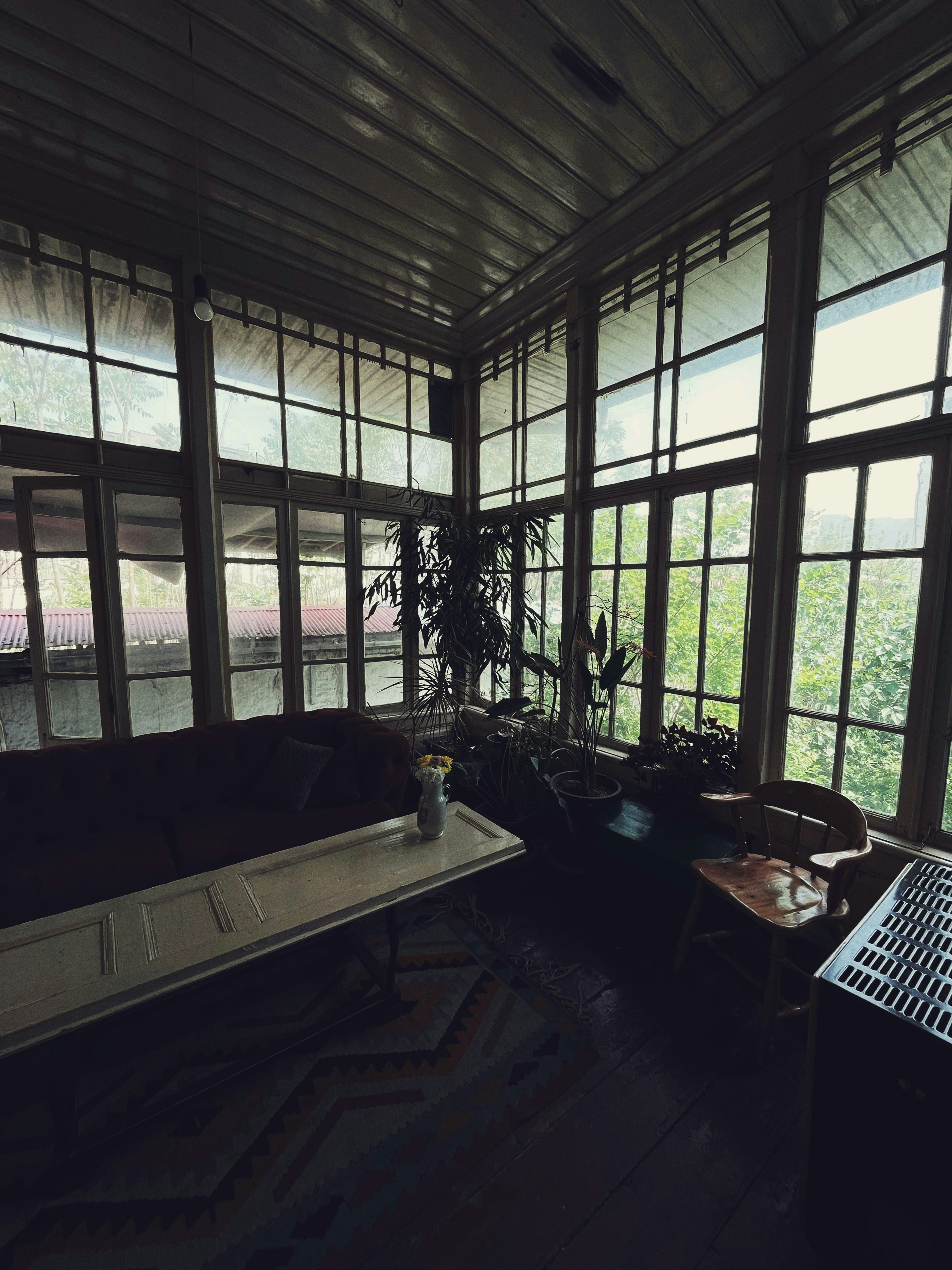 Moody Sunroom Portrait: Glass Walls and Greenery at Dusk