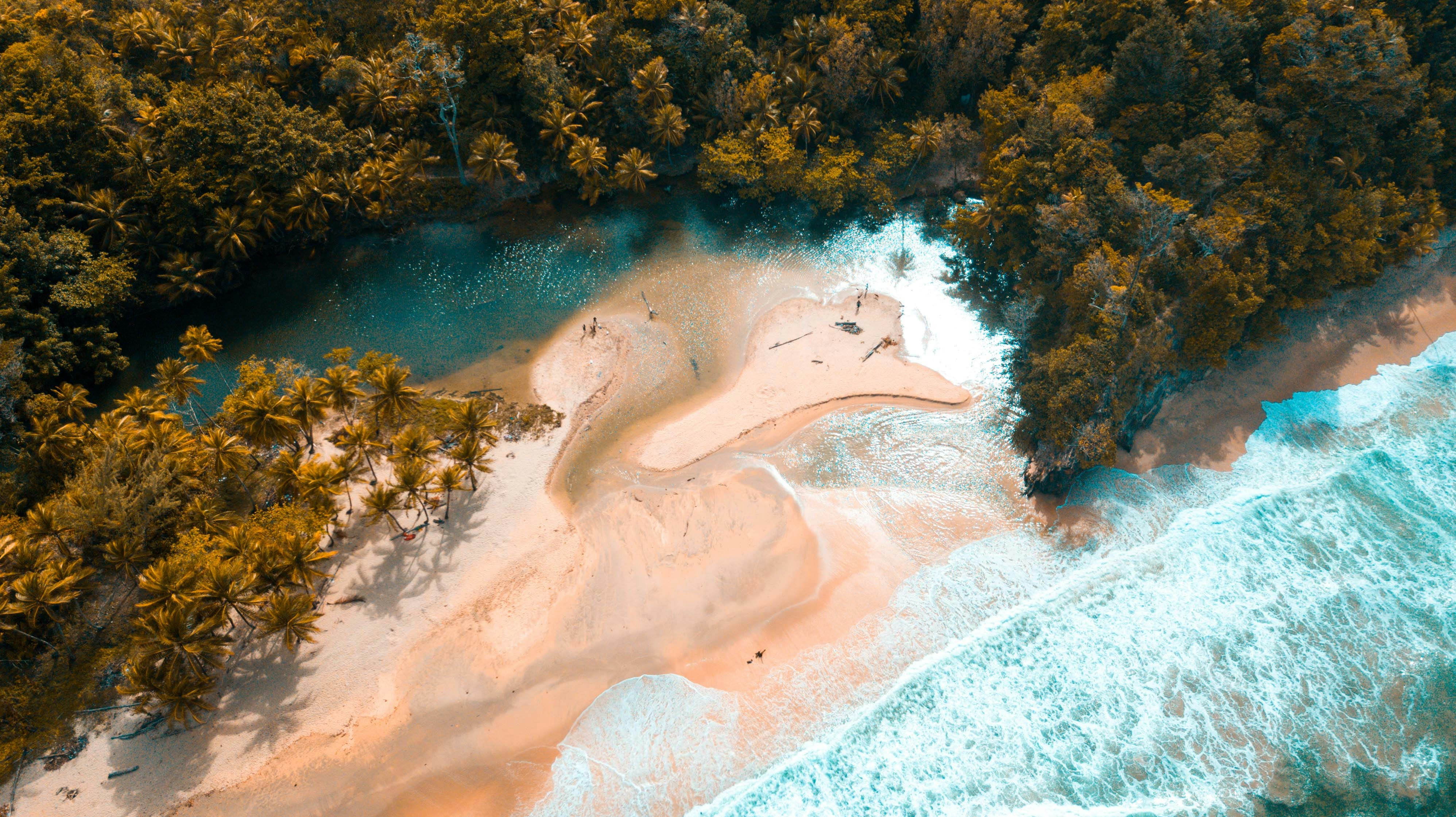 An aerial view of a sandy beach surrounded by trees photo – Free North ...