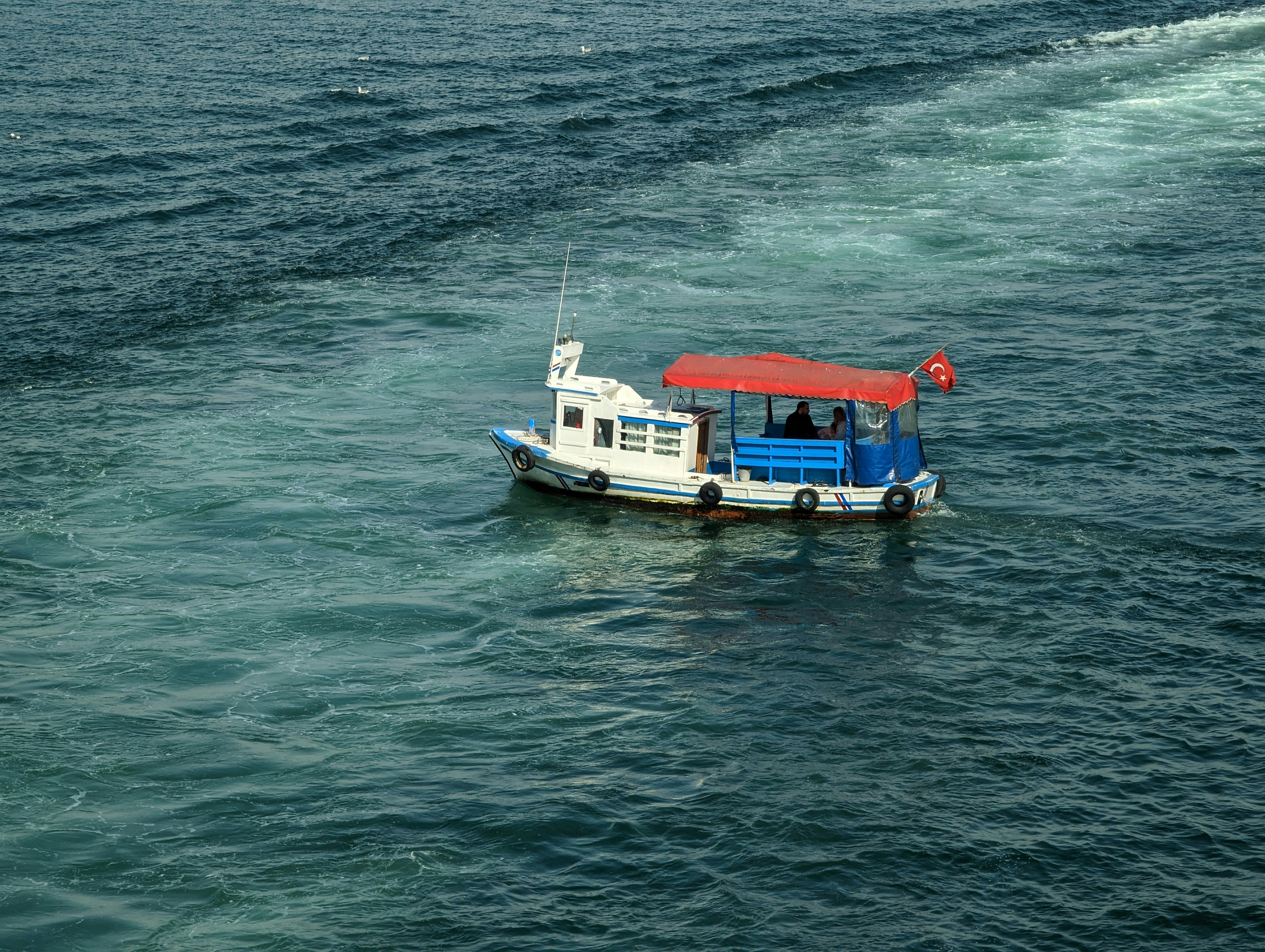 Photo by Siamak Masnavi with Google Pixel 7 Pro