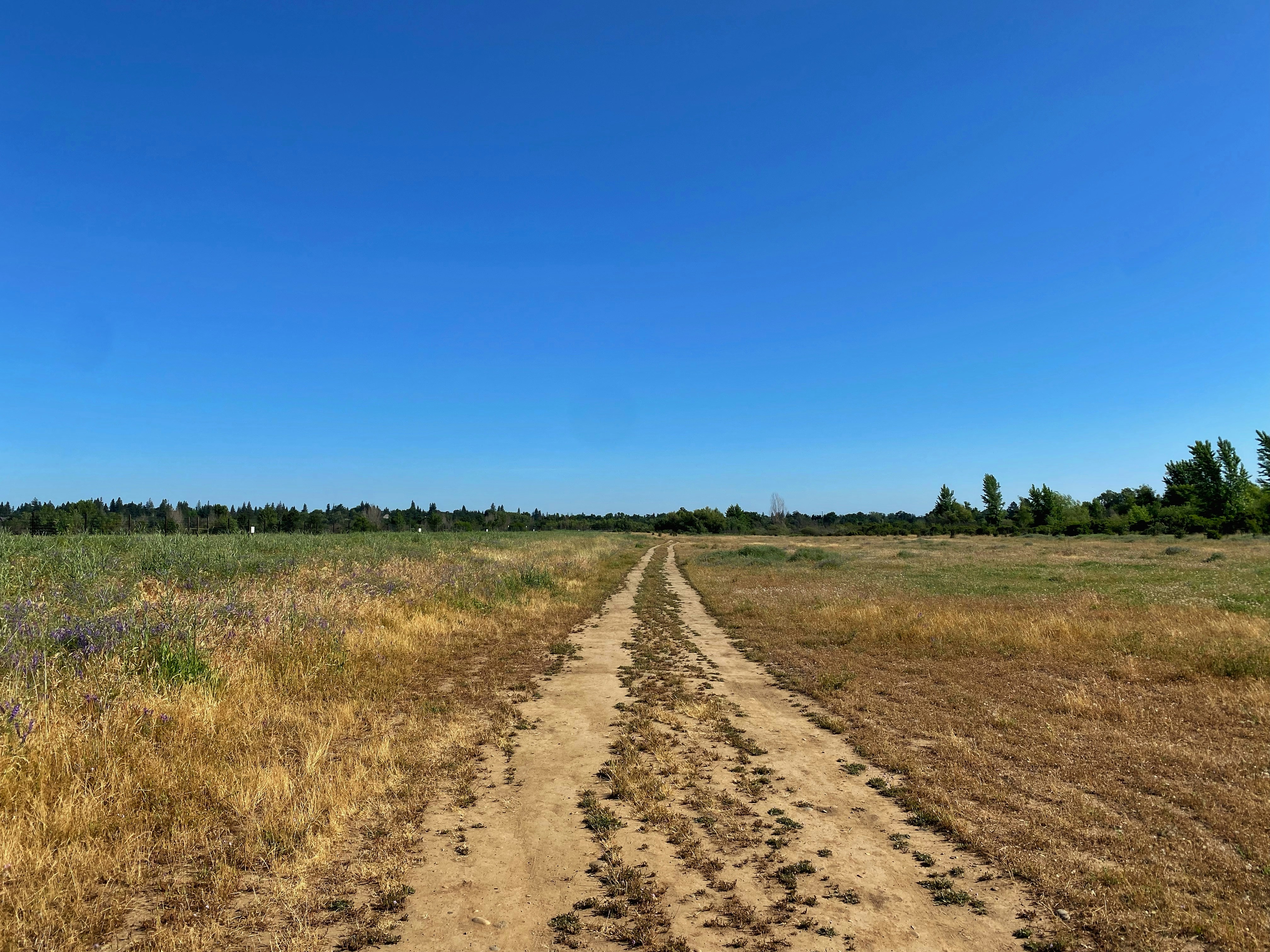 Path Ahead Pictures | Download Free Images on Unsplash