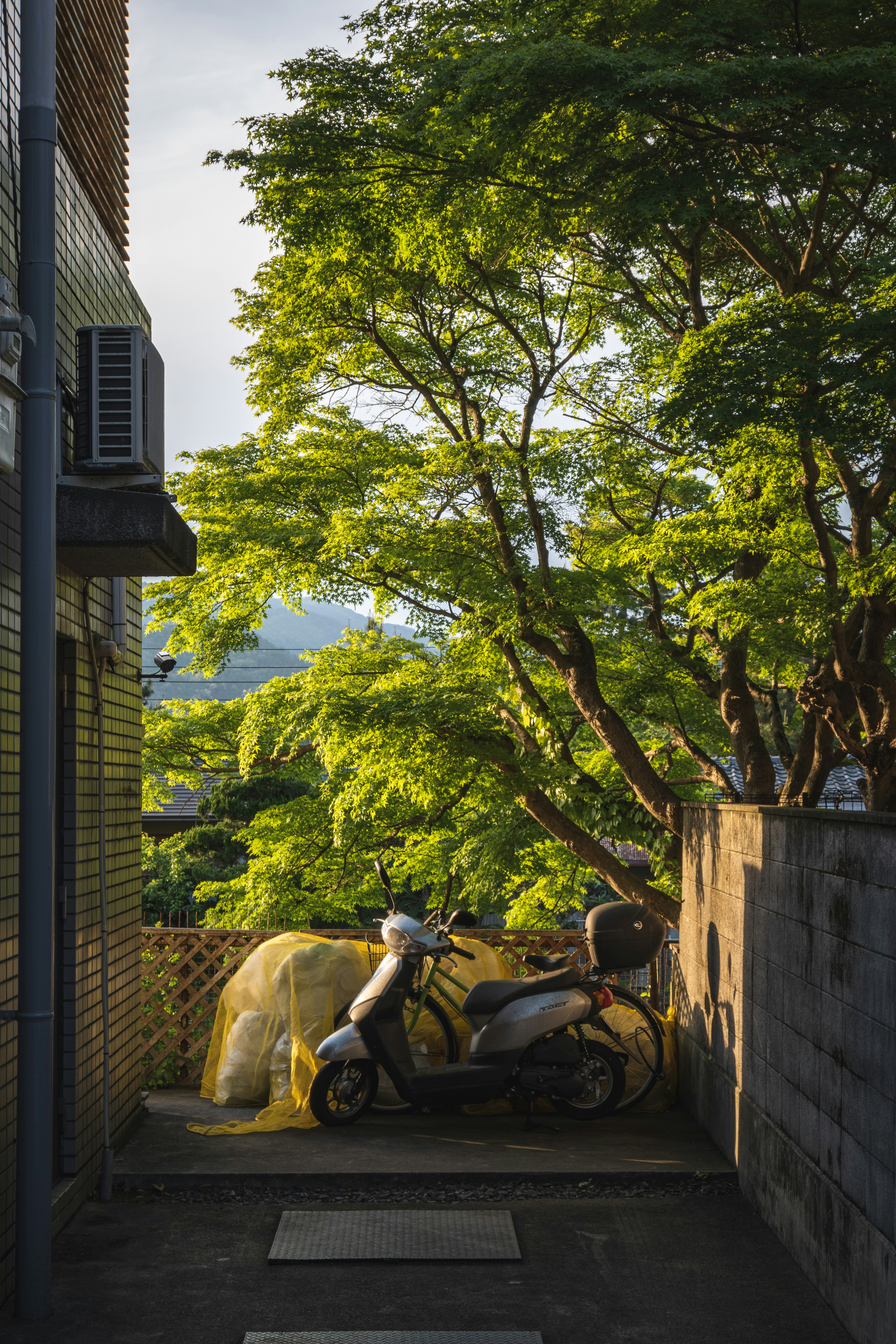 Photo by Artem Shuba with Nikon Zfc