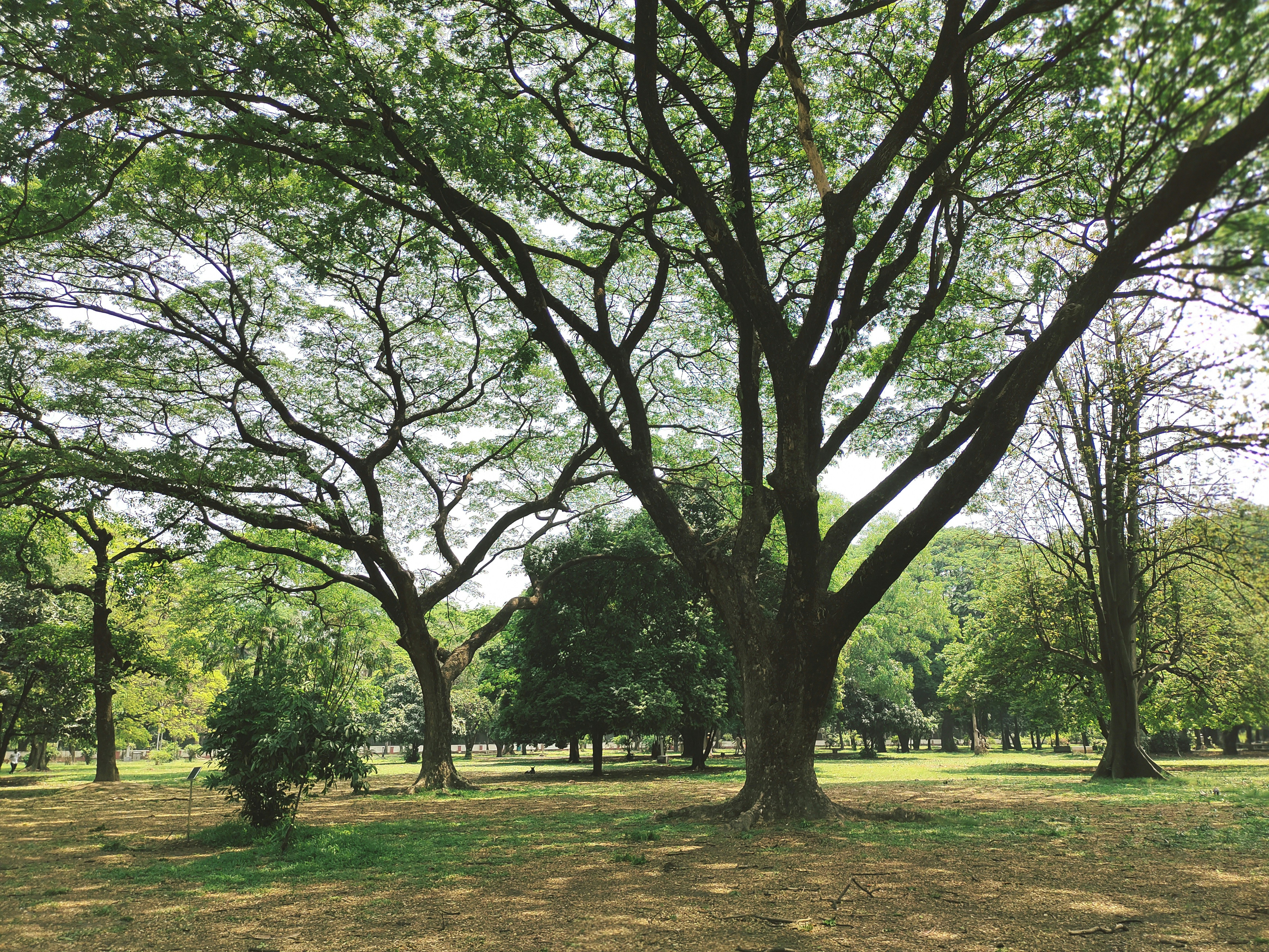 Photo by Abi abdullah miyad with Vivo V21e