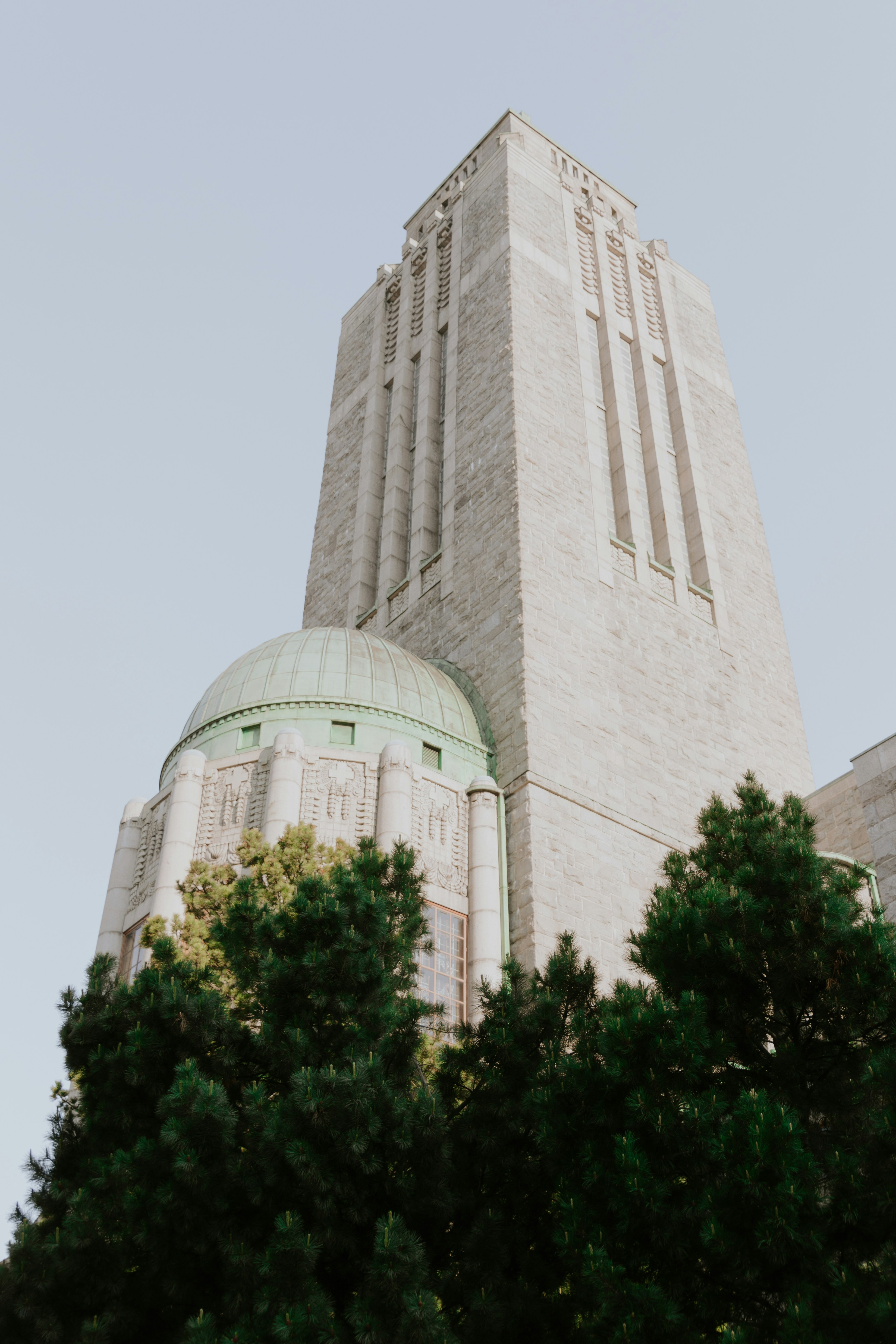 Low Angle Portrait Pictures | Download Free Images on Unsplash