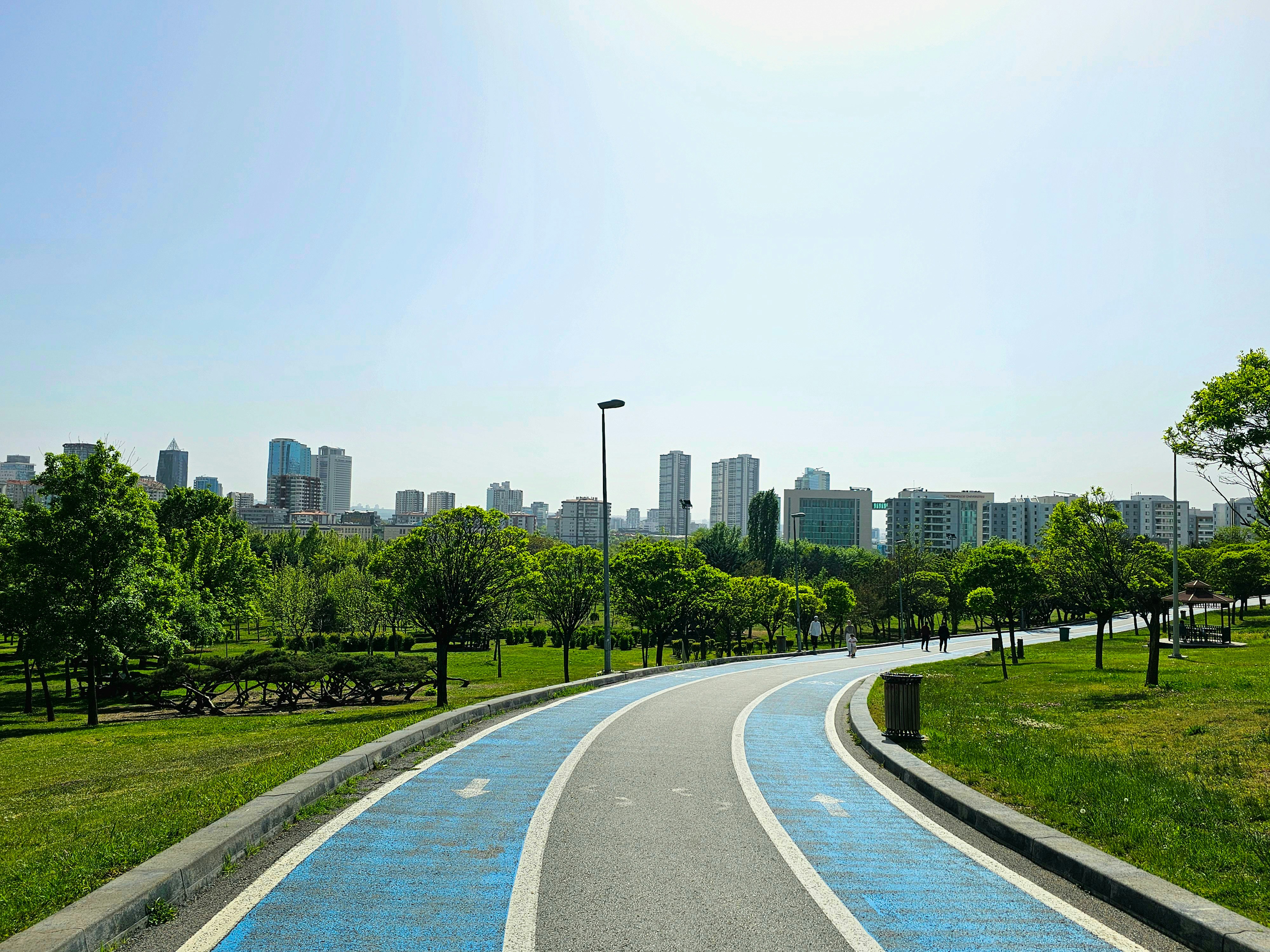 A curved road in a park with a city in the background photo – Free ...