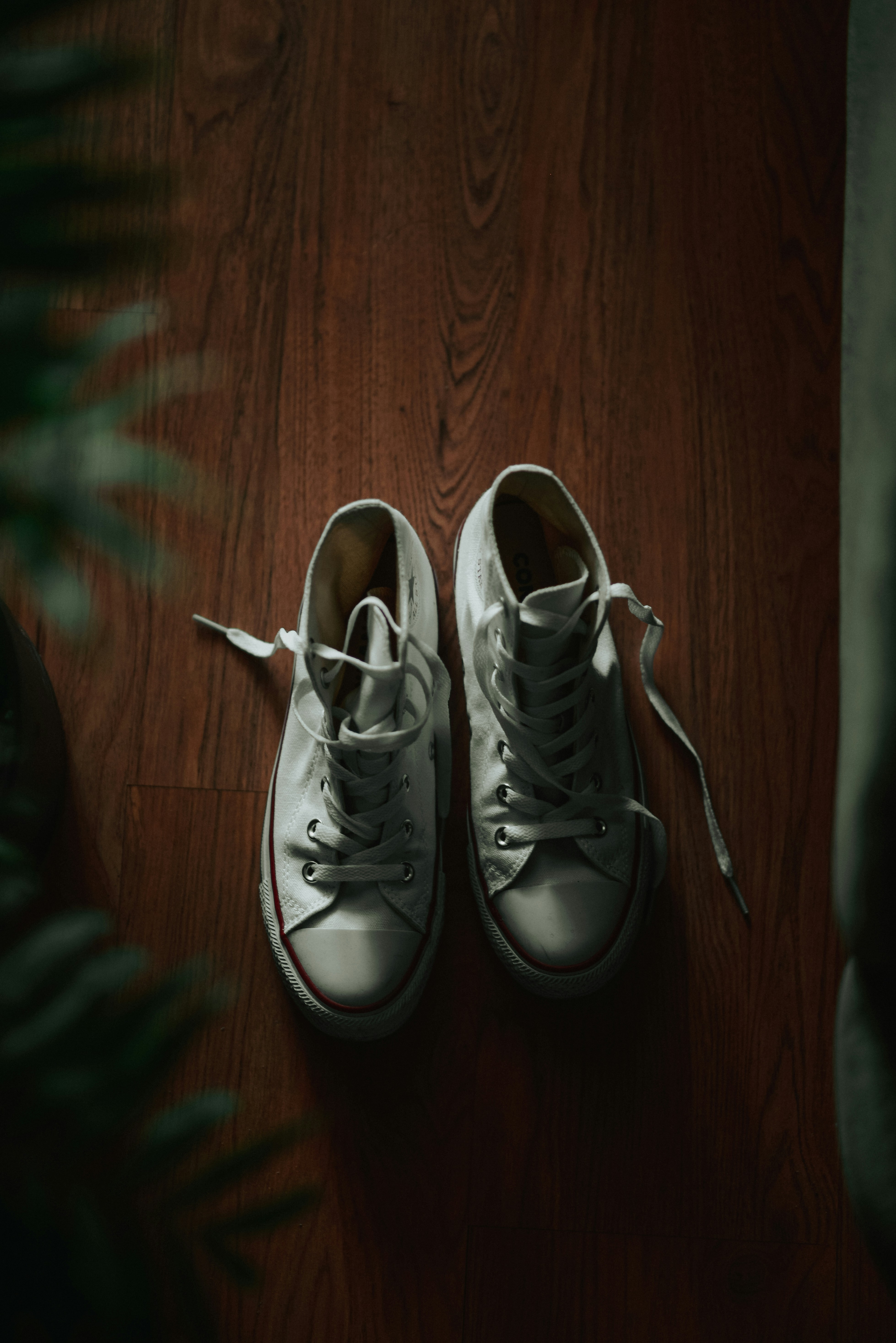 Pairs in Focus: White Sneakers Rest on a Dim Wood Floor Framed by Foliage
