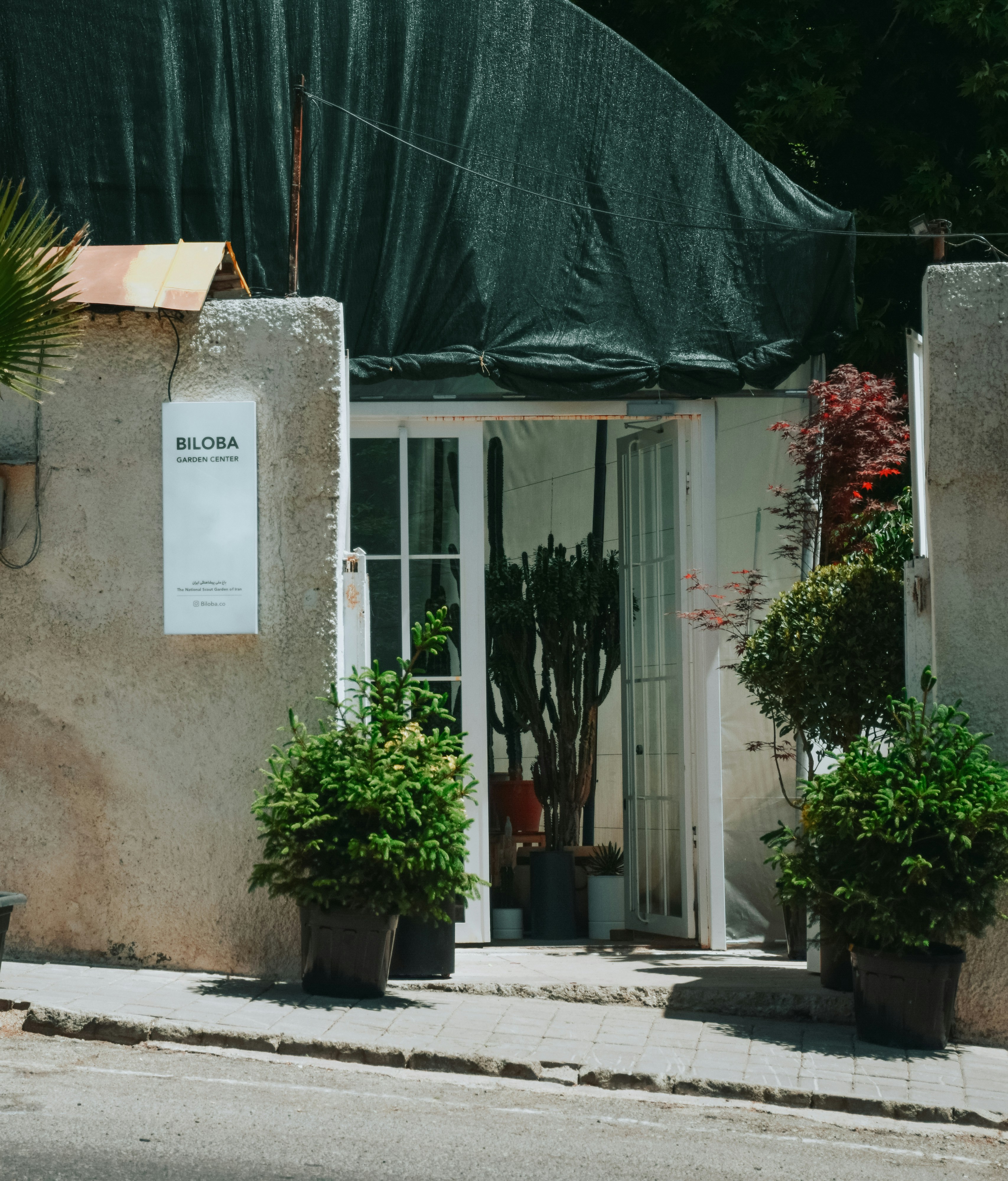 Sunlit Café Entrance Framed by Verdant Pots