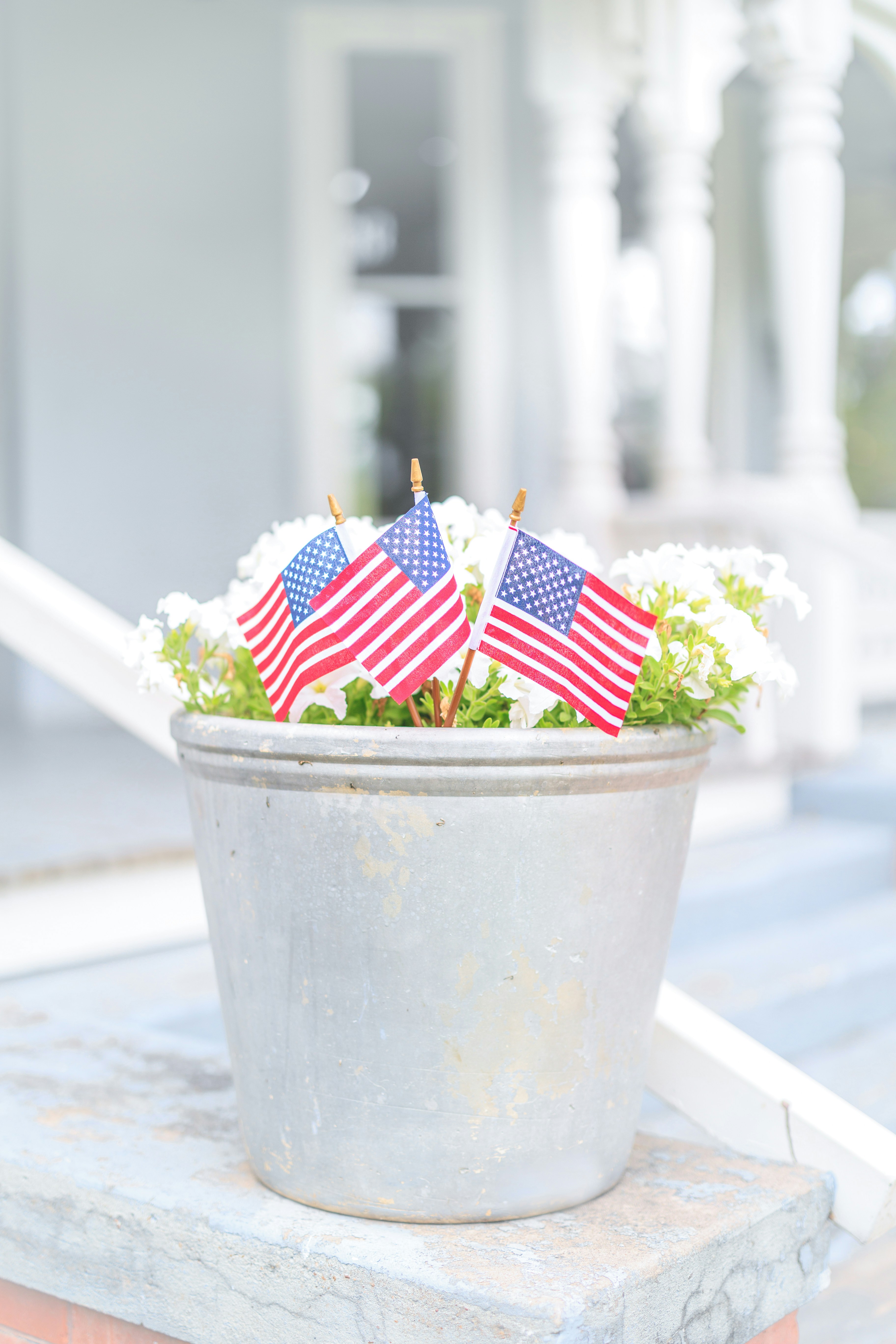 Two american flags are placed in a flower pot photo – Free White ...