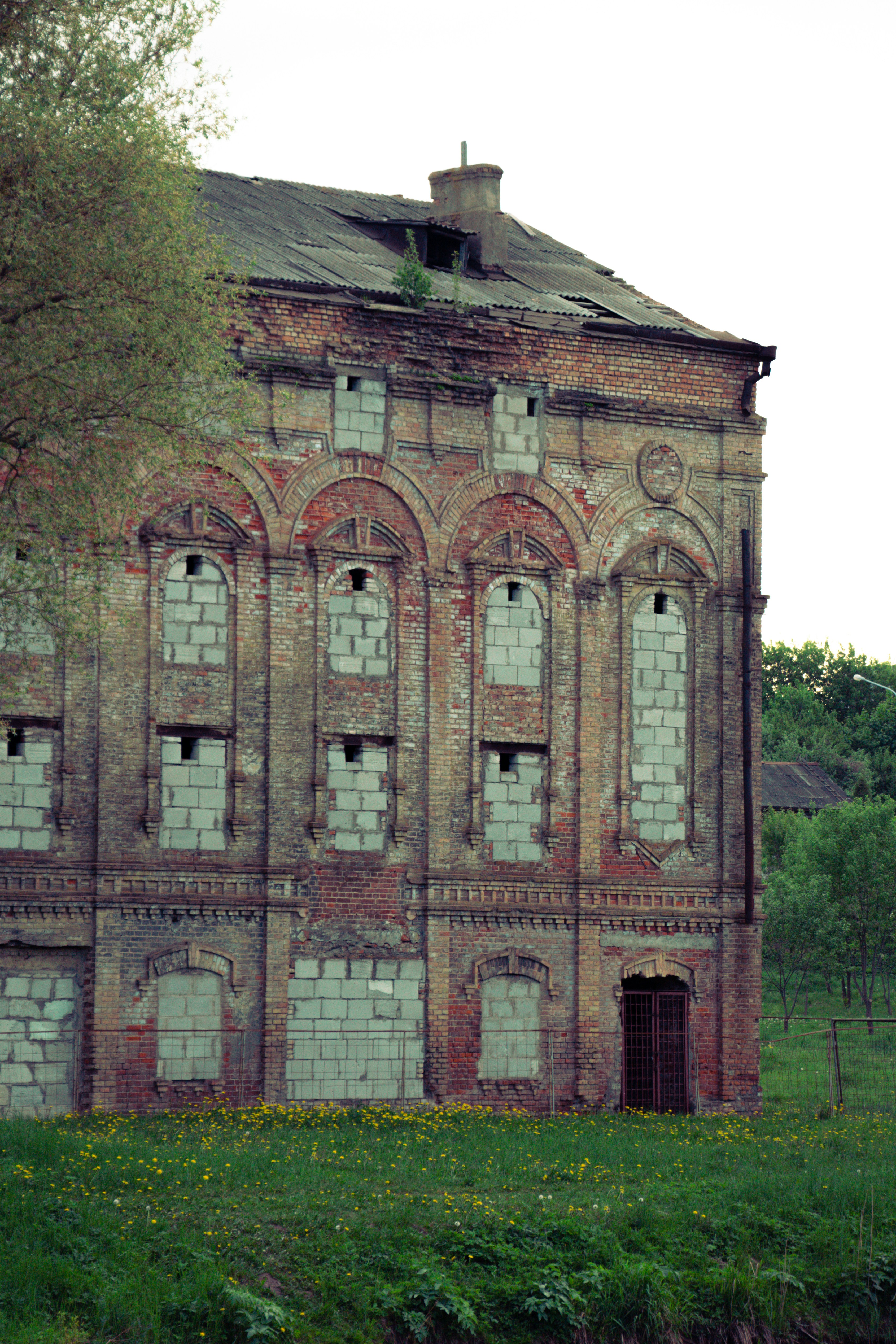 Photo by Valeria Klys with Canon EOS 650D