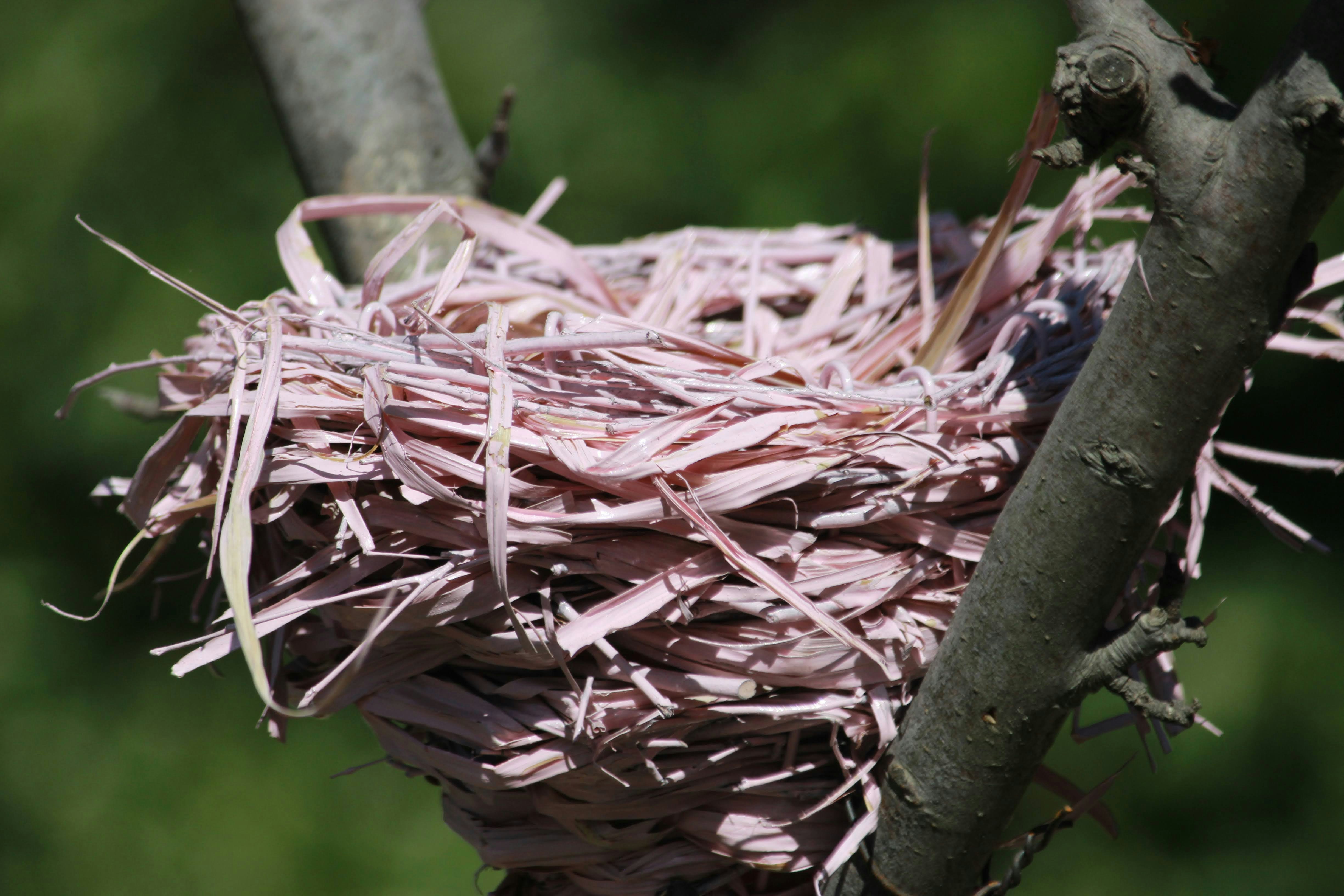 Pastel Nest: a pink-woven refuge on a sunlit branch
