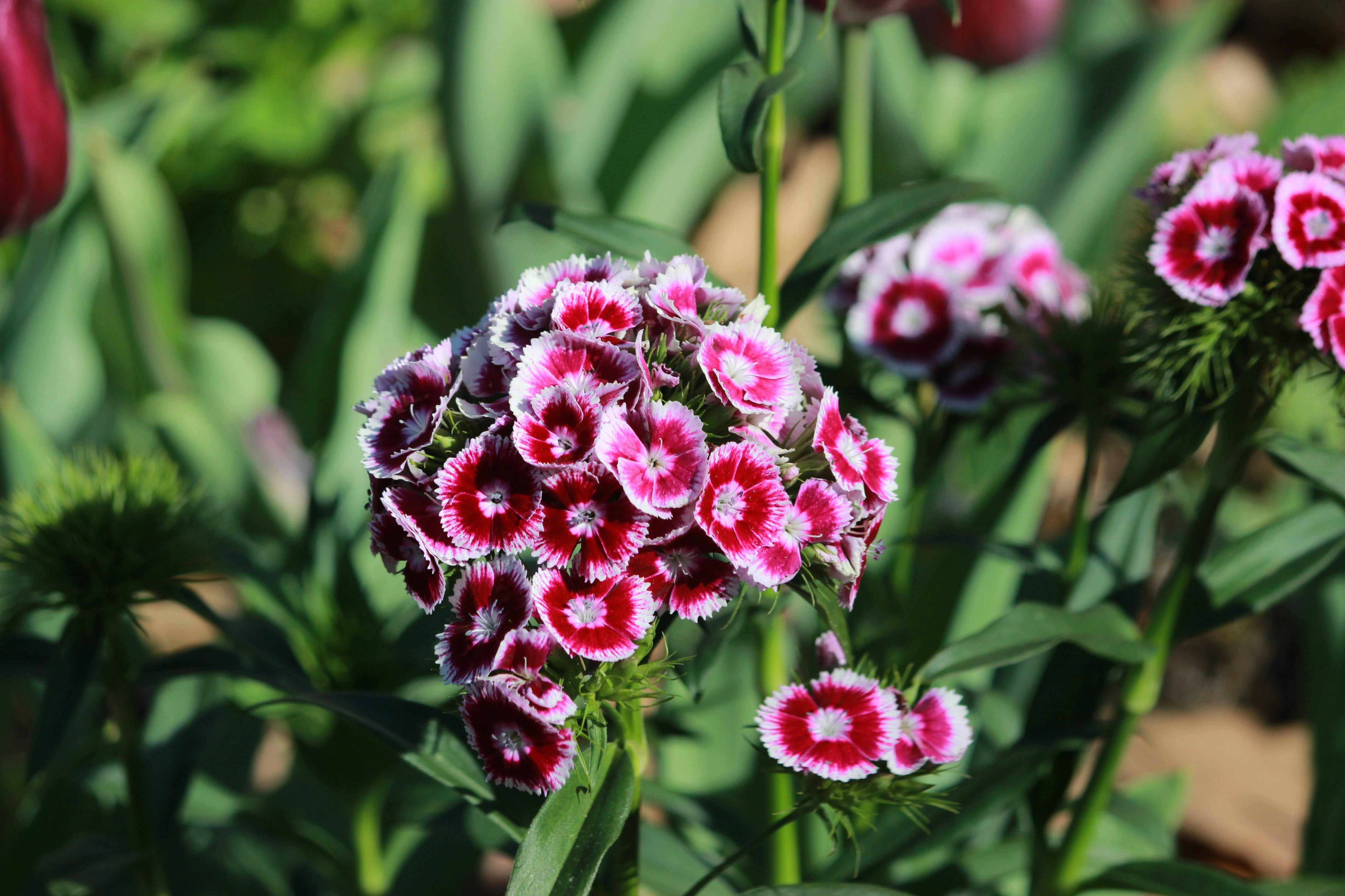 Photo by Robyn Louise with Canon EOS 600D