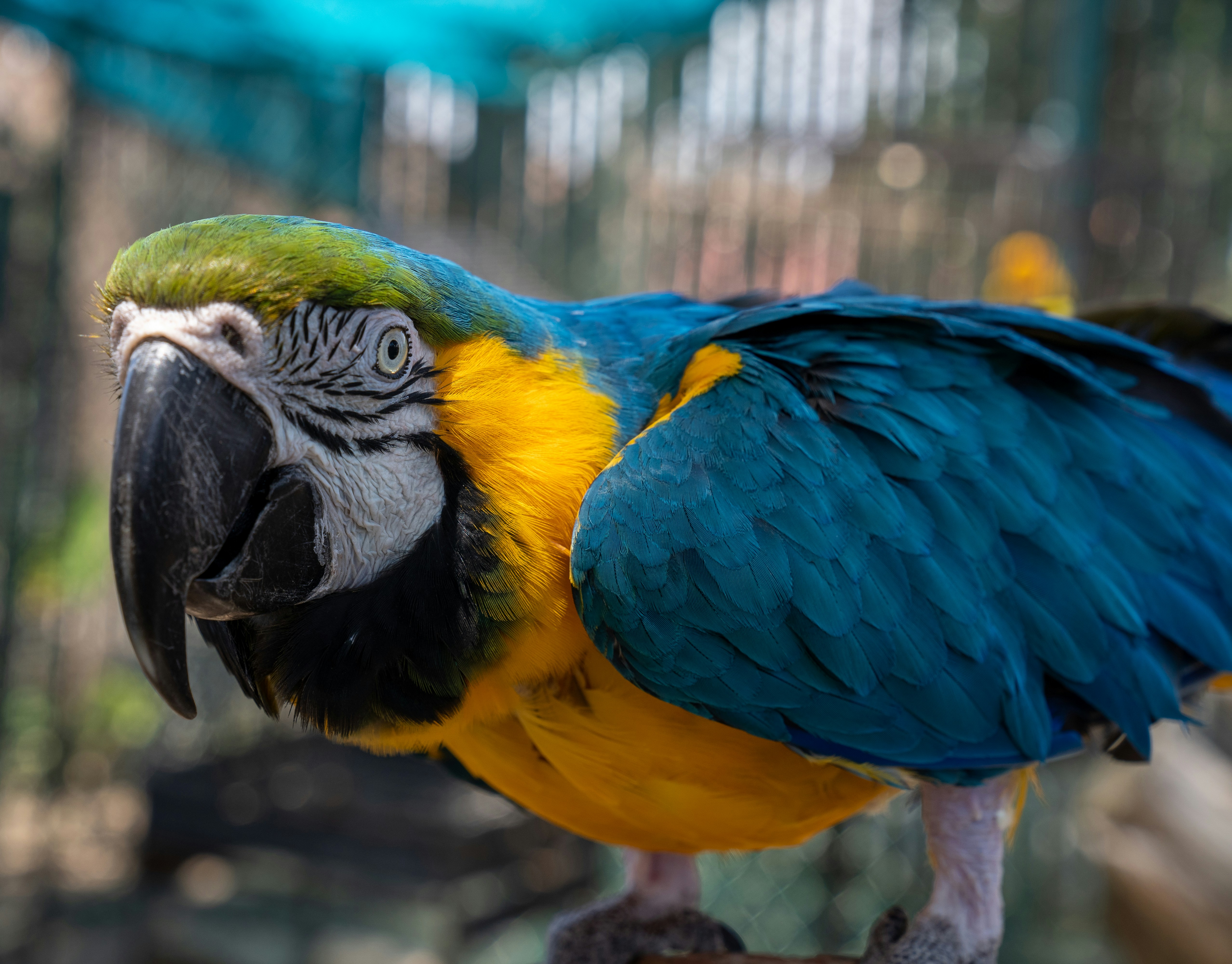 Charles Shaffer (@charlesshaffer17) | Komunitas Foto Unsplash