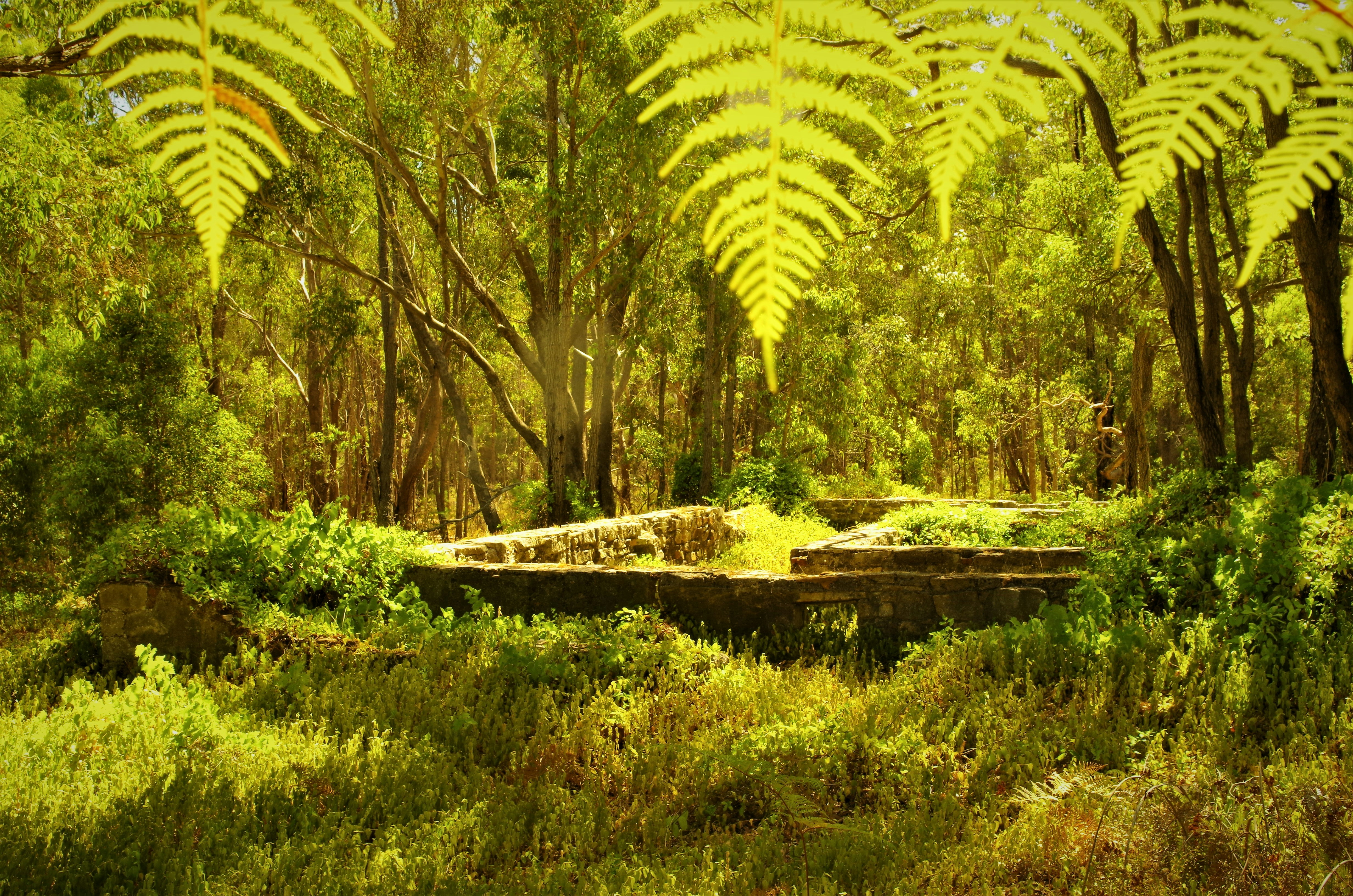 Sample photo from Pentax K-30