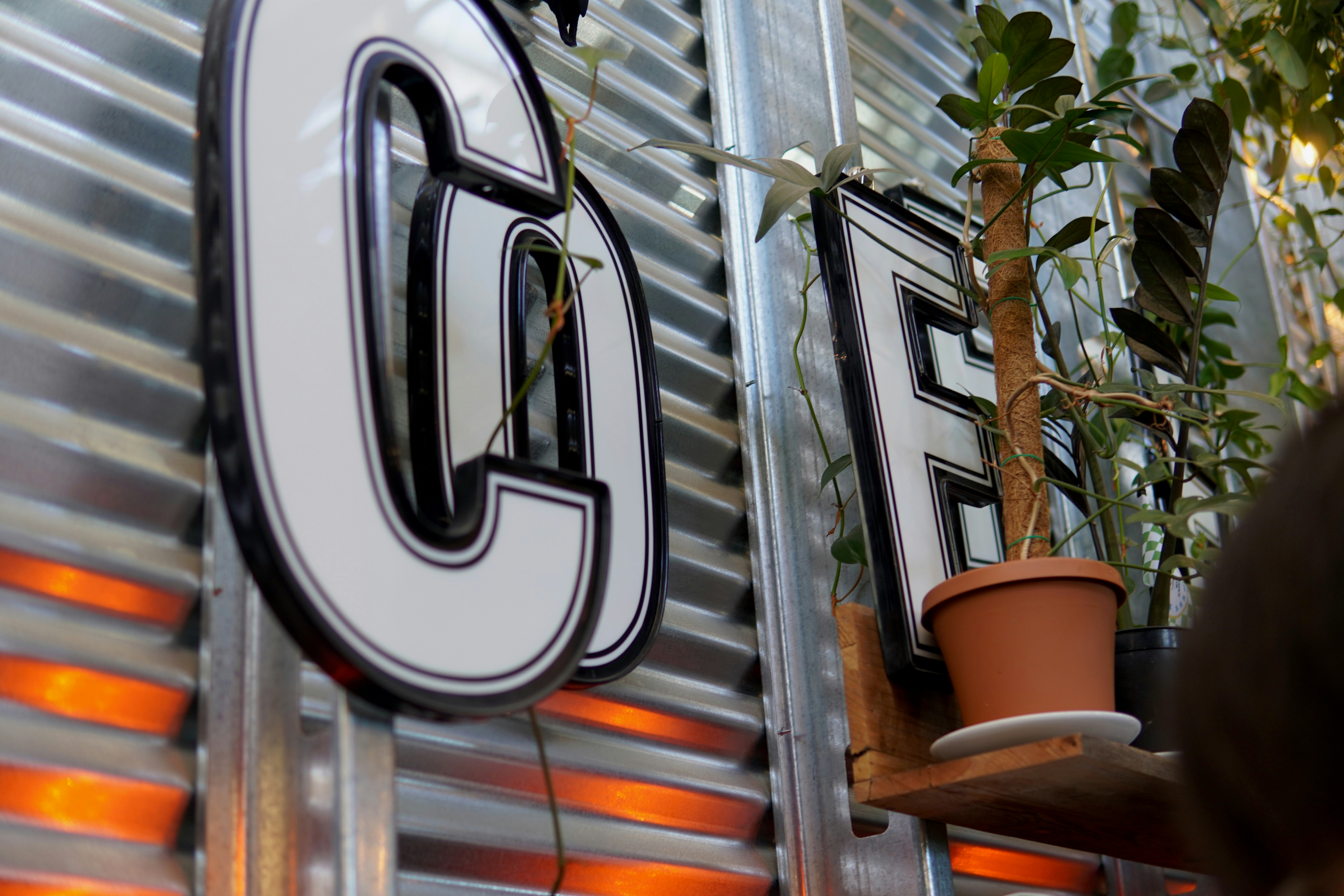 Photo by Madeline Liu with Sony Alpha 6400