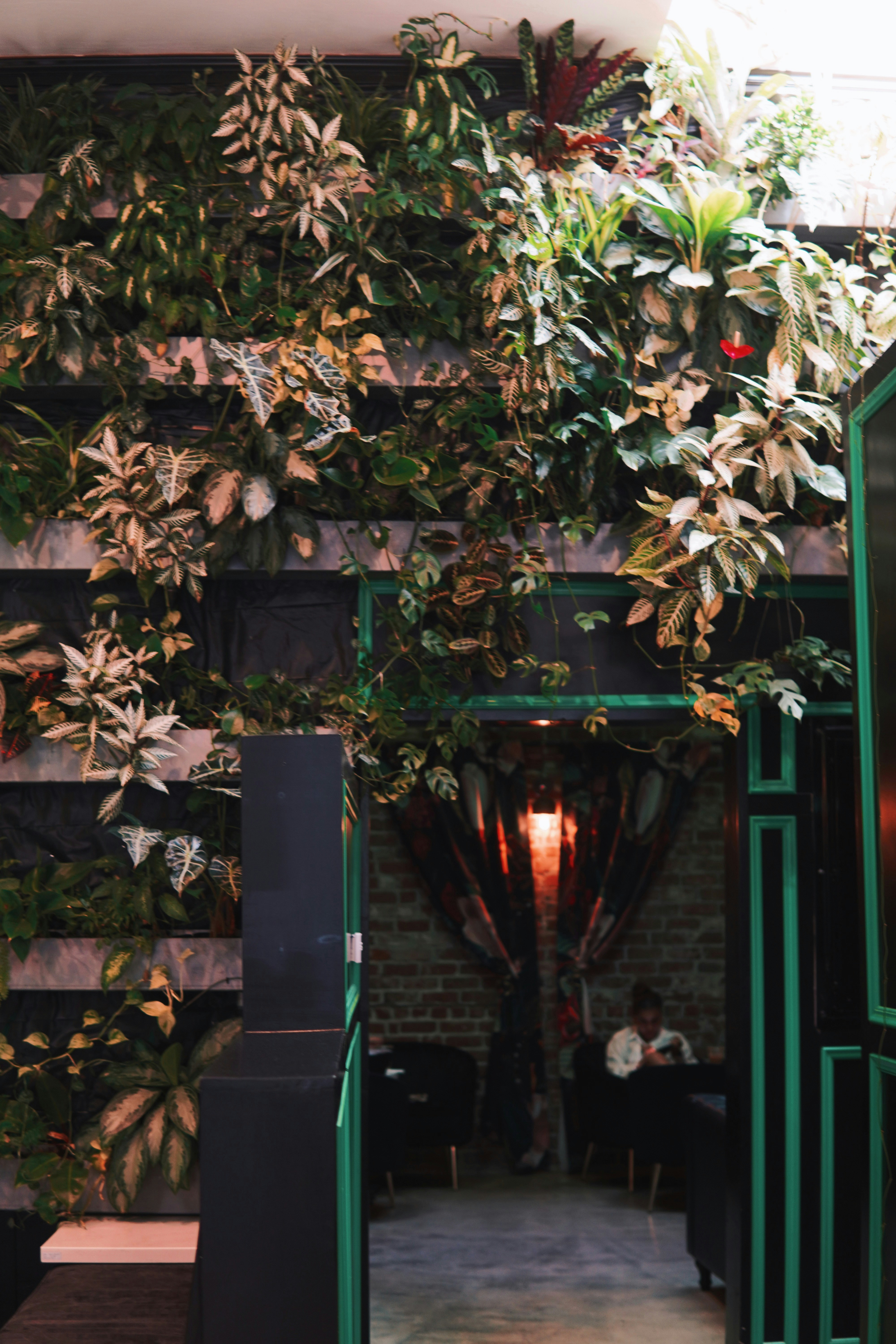 a room with a bunch of plants growing on the wall