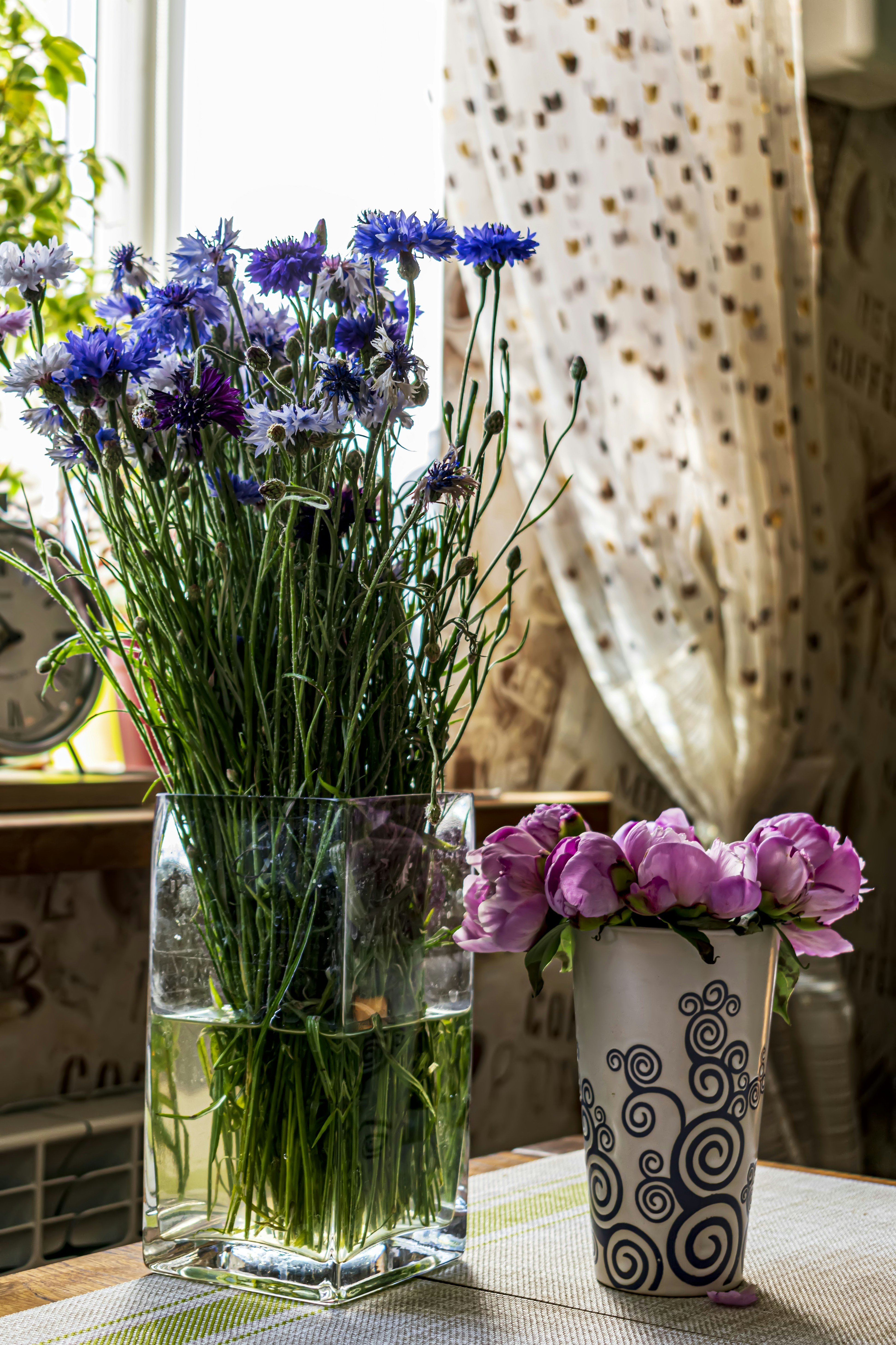 Pink flowers peonies and blue cornflowers are in the vases. The most favorite flowers for my wife.