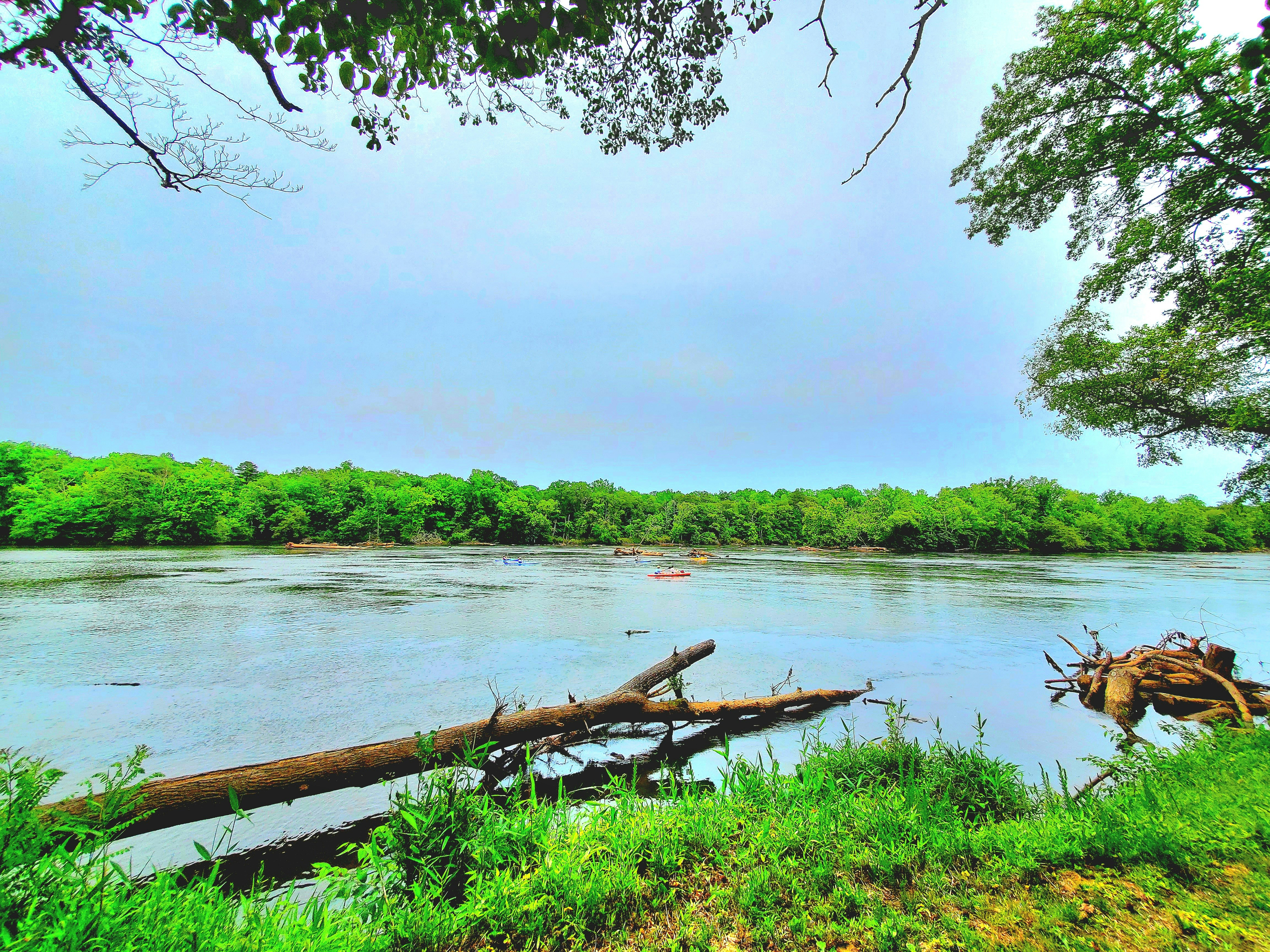 Une rivière avec un arbre tombé au premier plan photo – Photo Caroline ...