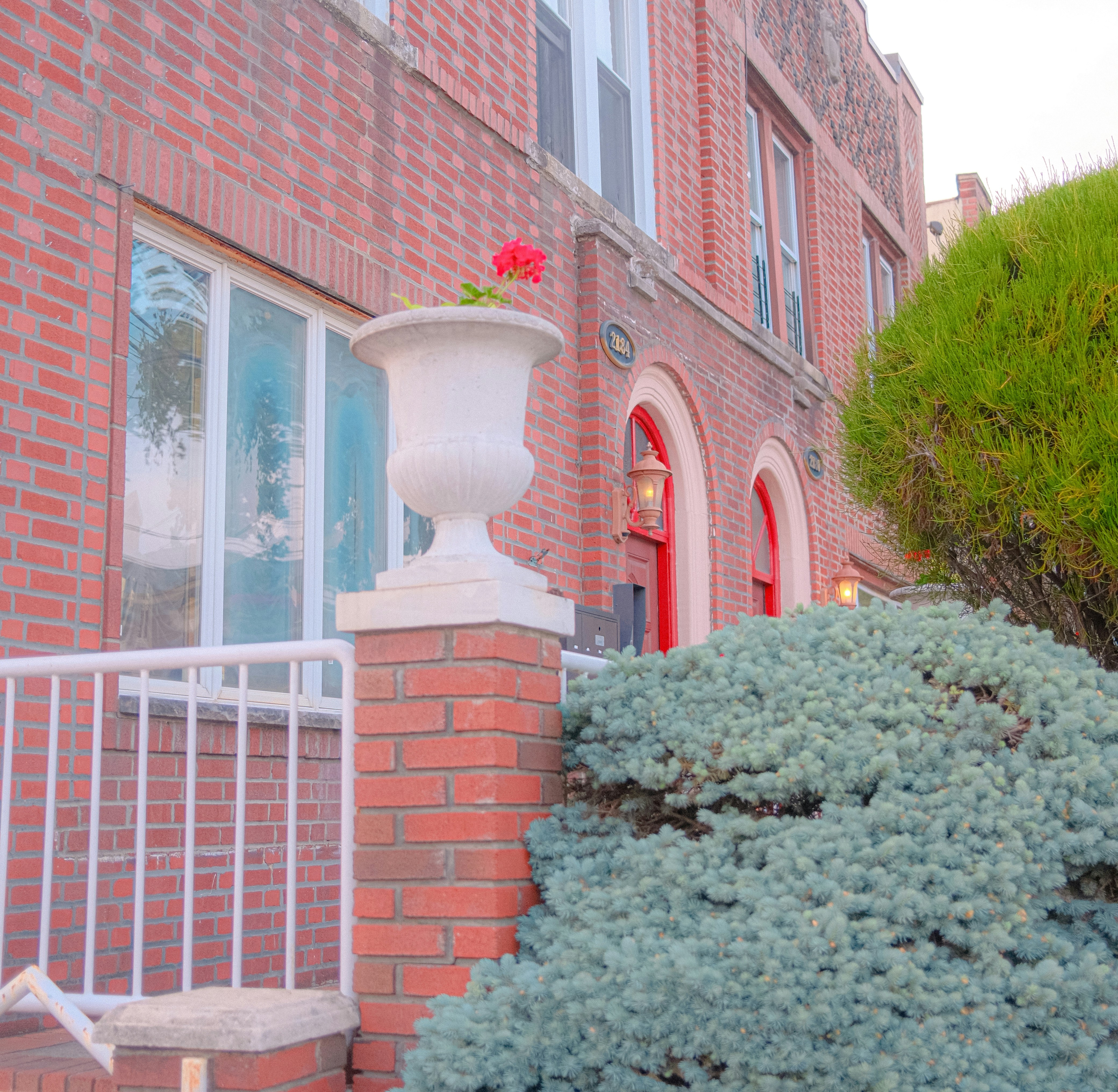 Crimson Bloom on a White Pedestal Framing a Brick-Front Entrance