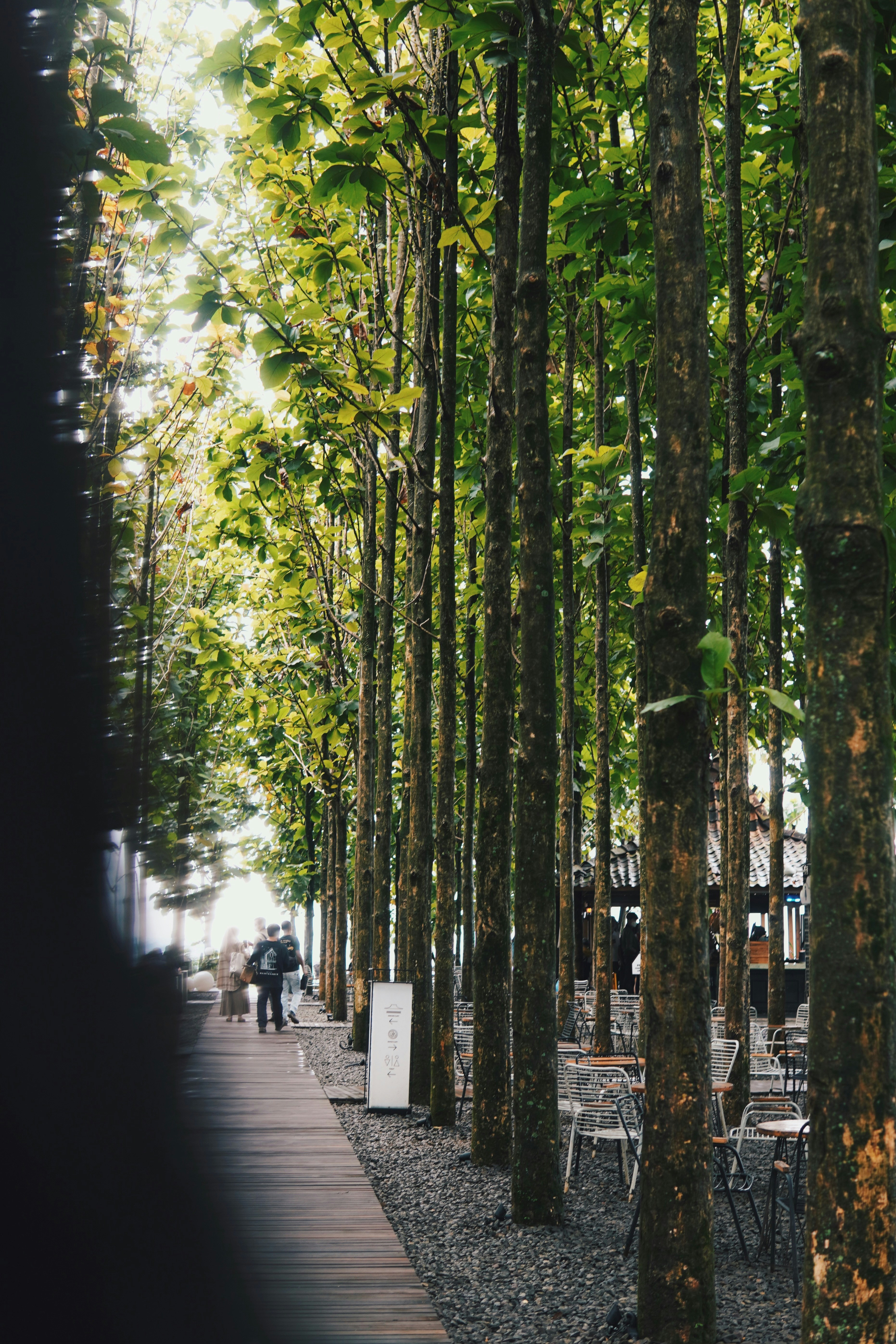 A serene pathway lined with lush trees, leading to a cozy outdoor seating area in a bustling urban environment.