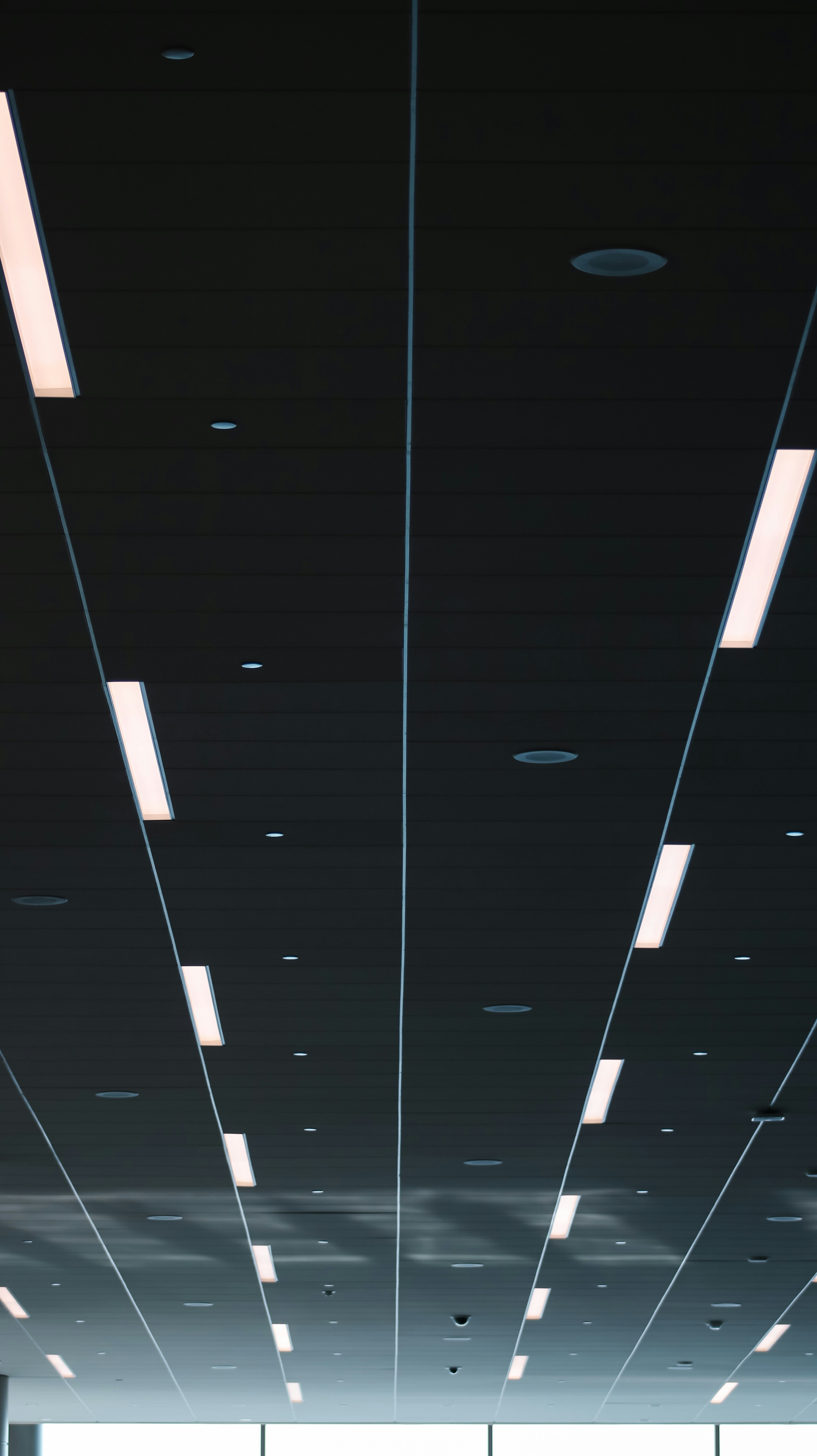 Symphony of Light and Shadow: A Modern Ceiling Perspective