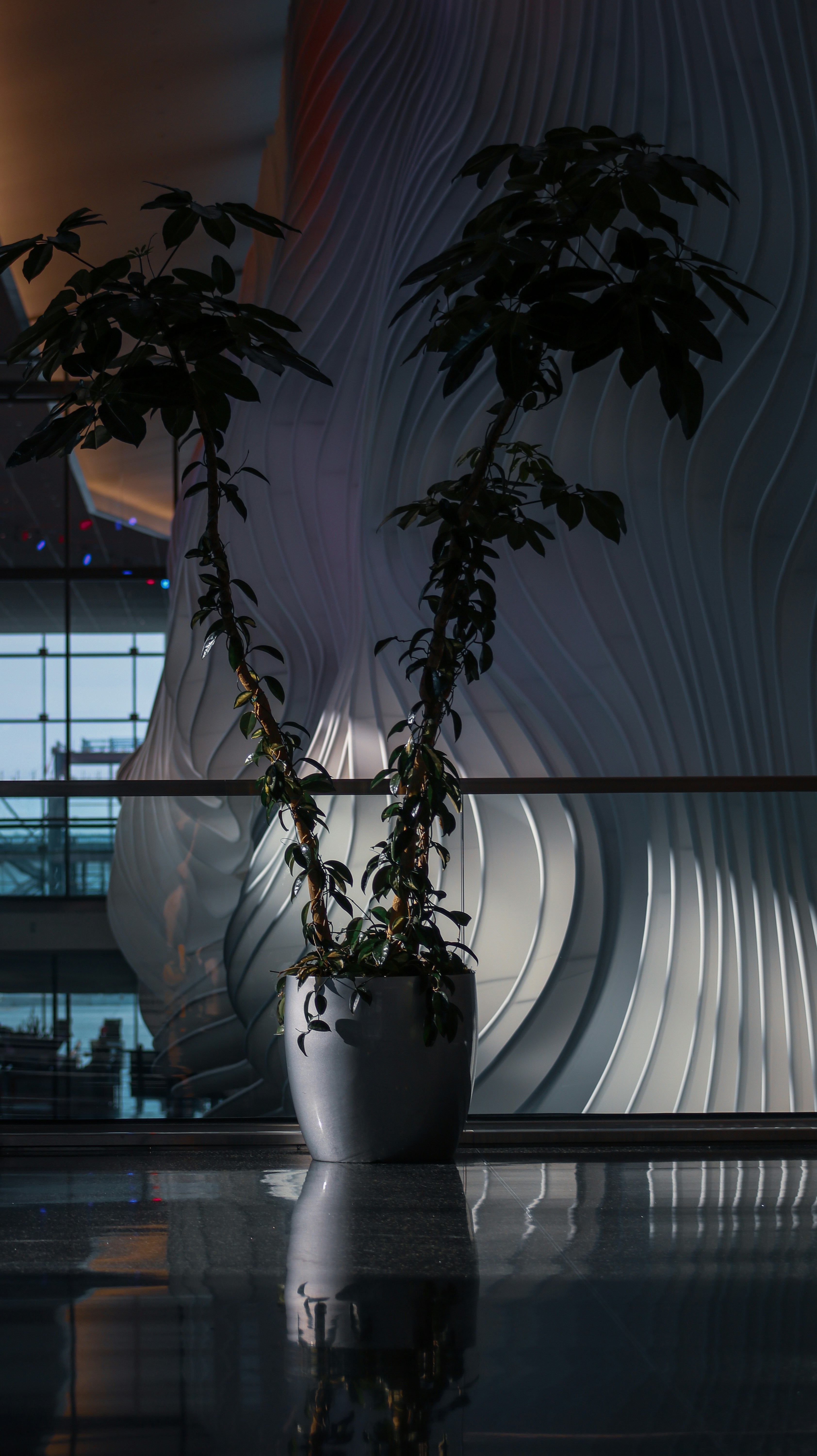 Photo by Heber Davis with Canon EOS 750D