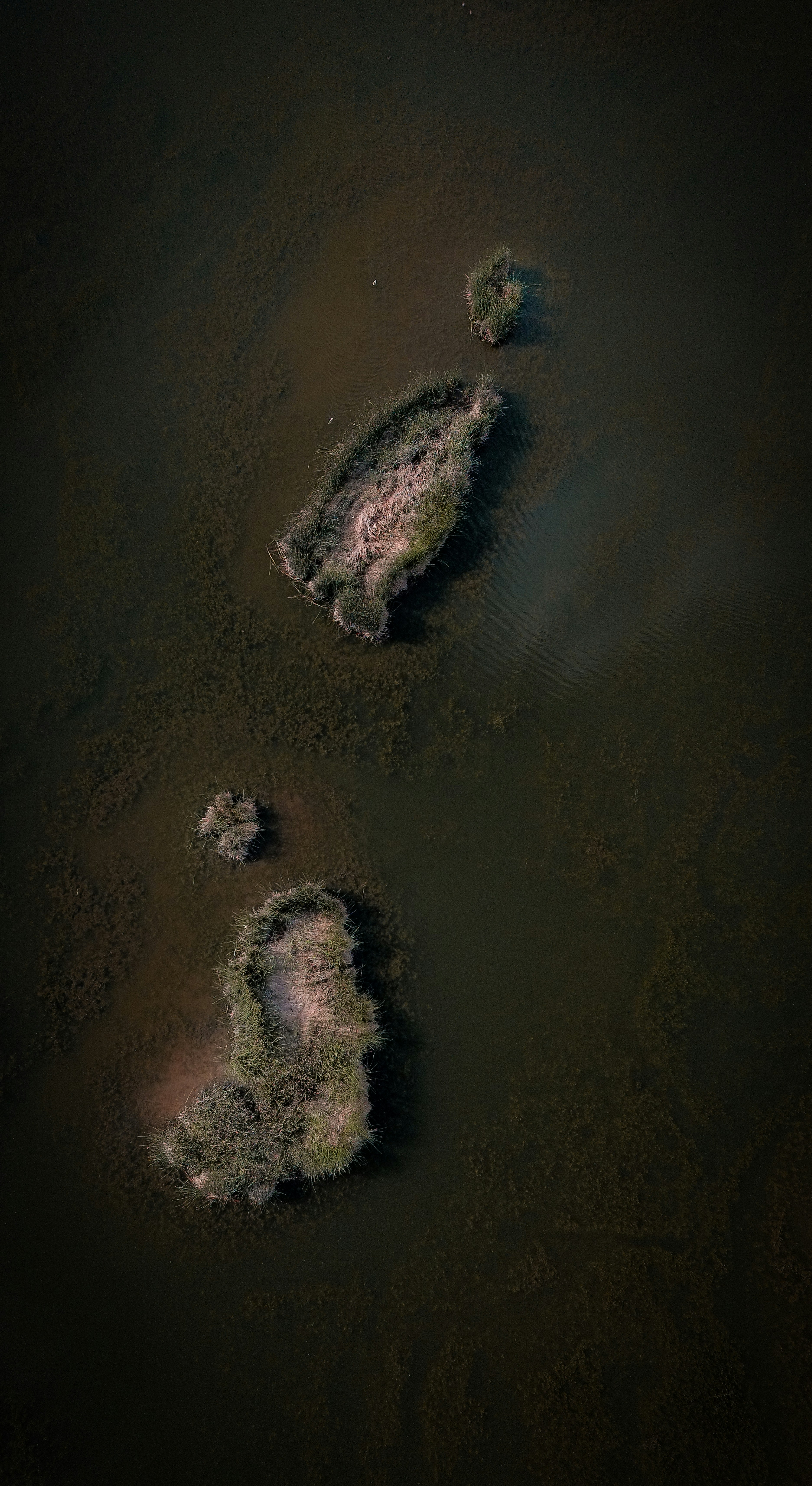 Islands in a Quiet Tide: Aerial Study of Mud and Grass