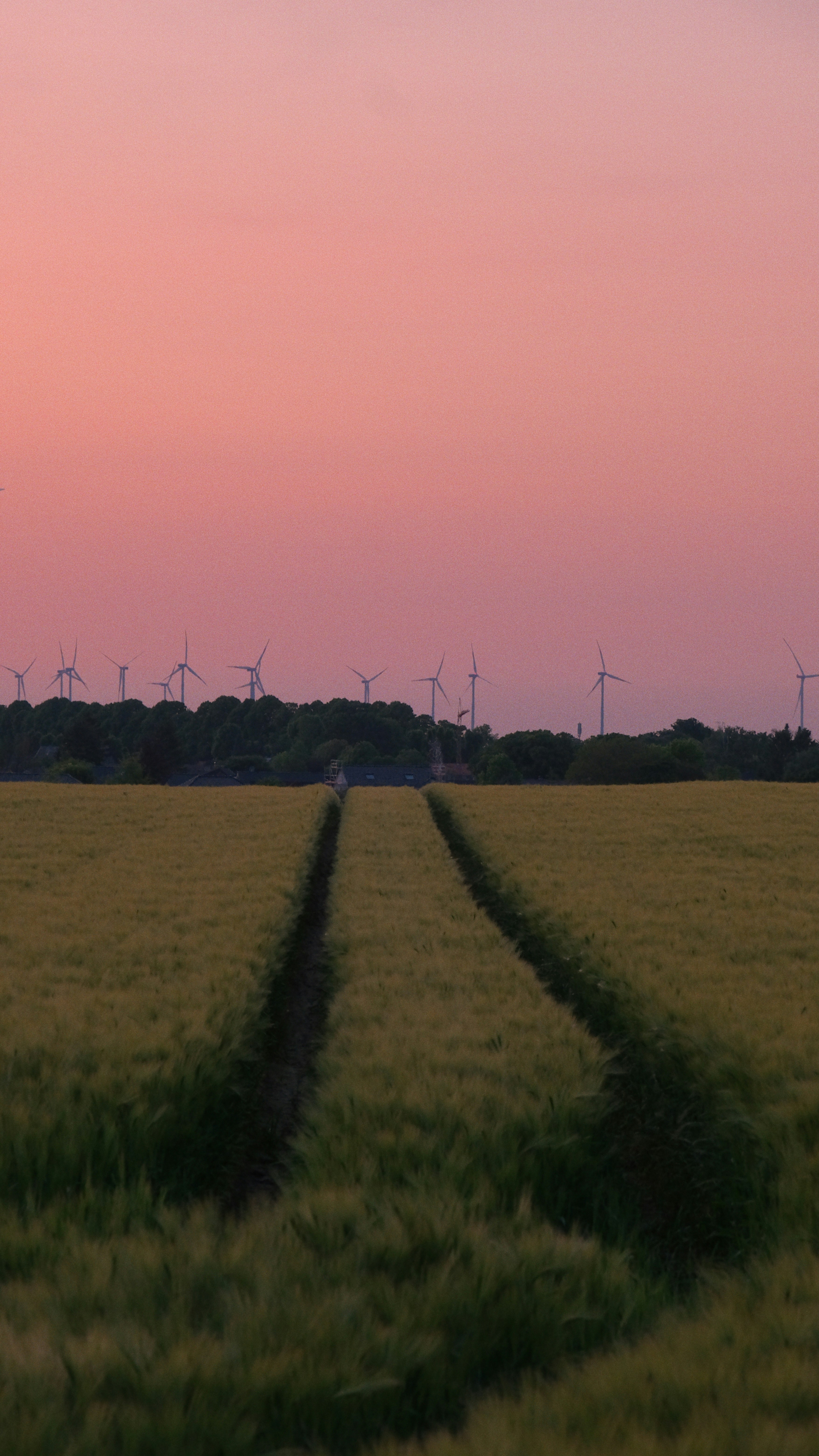 A field of grass with wind mills in the distance photo – Free Summer ...