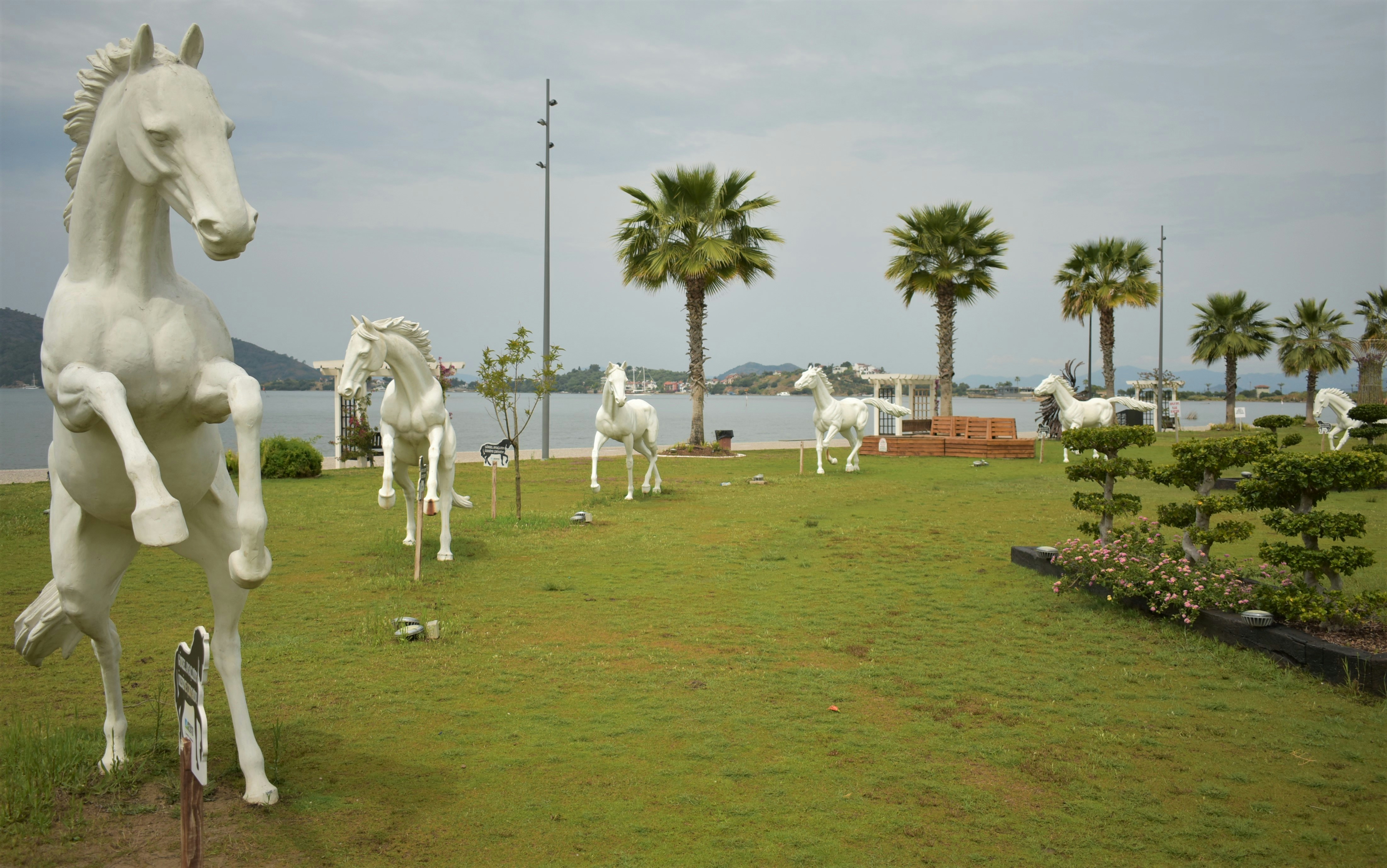 Seaside Gallop: White Horse Statues Amid Palm Trees