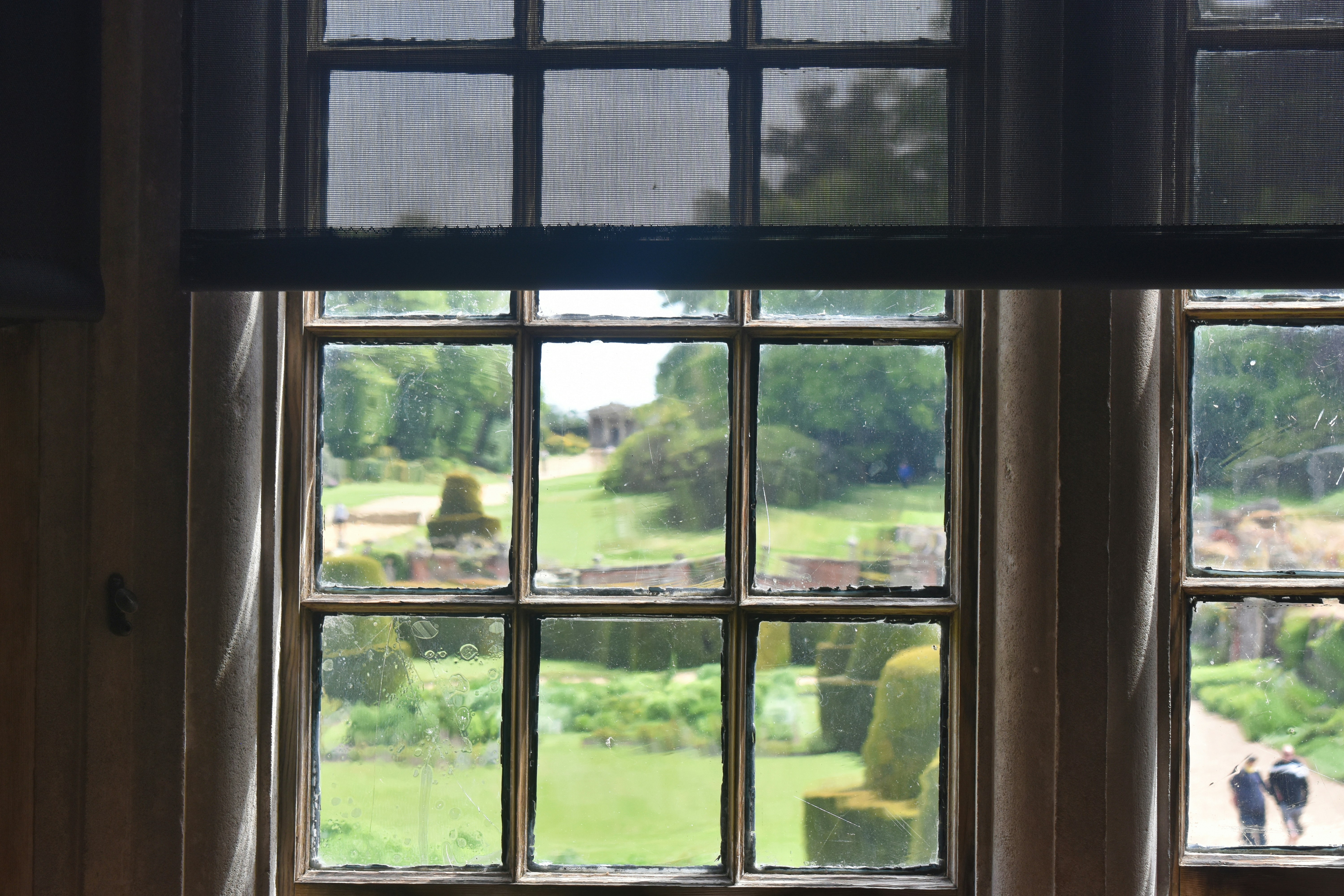 Pane by Pane: A Garden View Framed in a Quiet Window