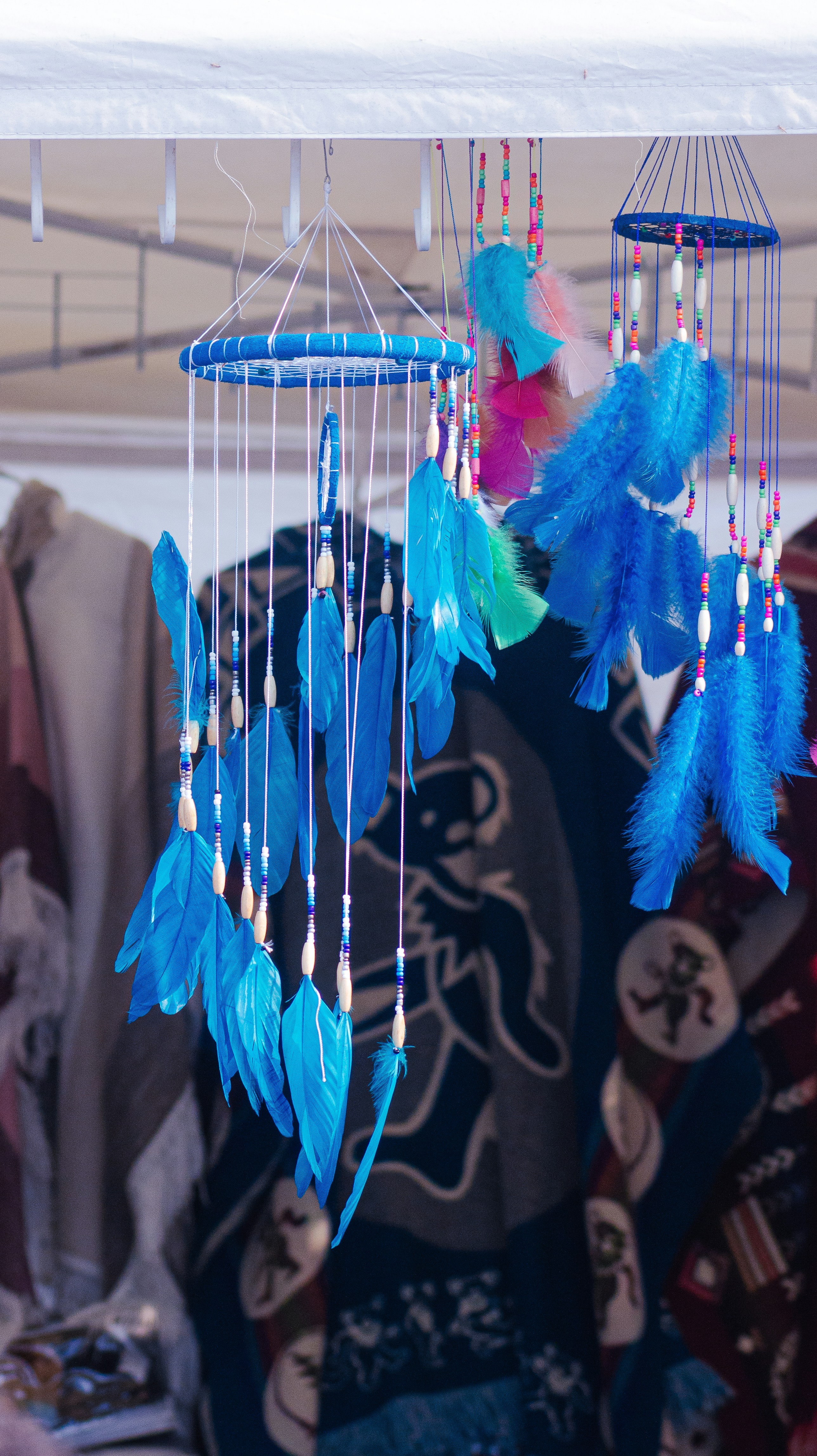 A group of blue feathers hanging from a ceiling photo – Free Asian ...
