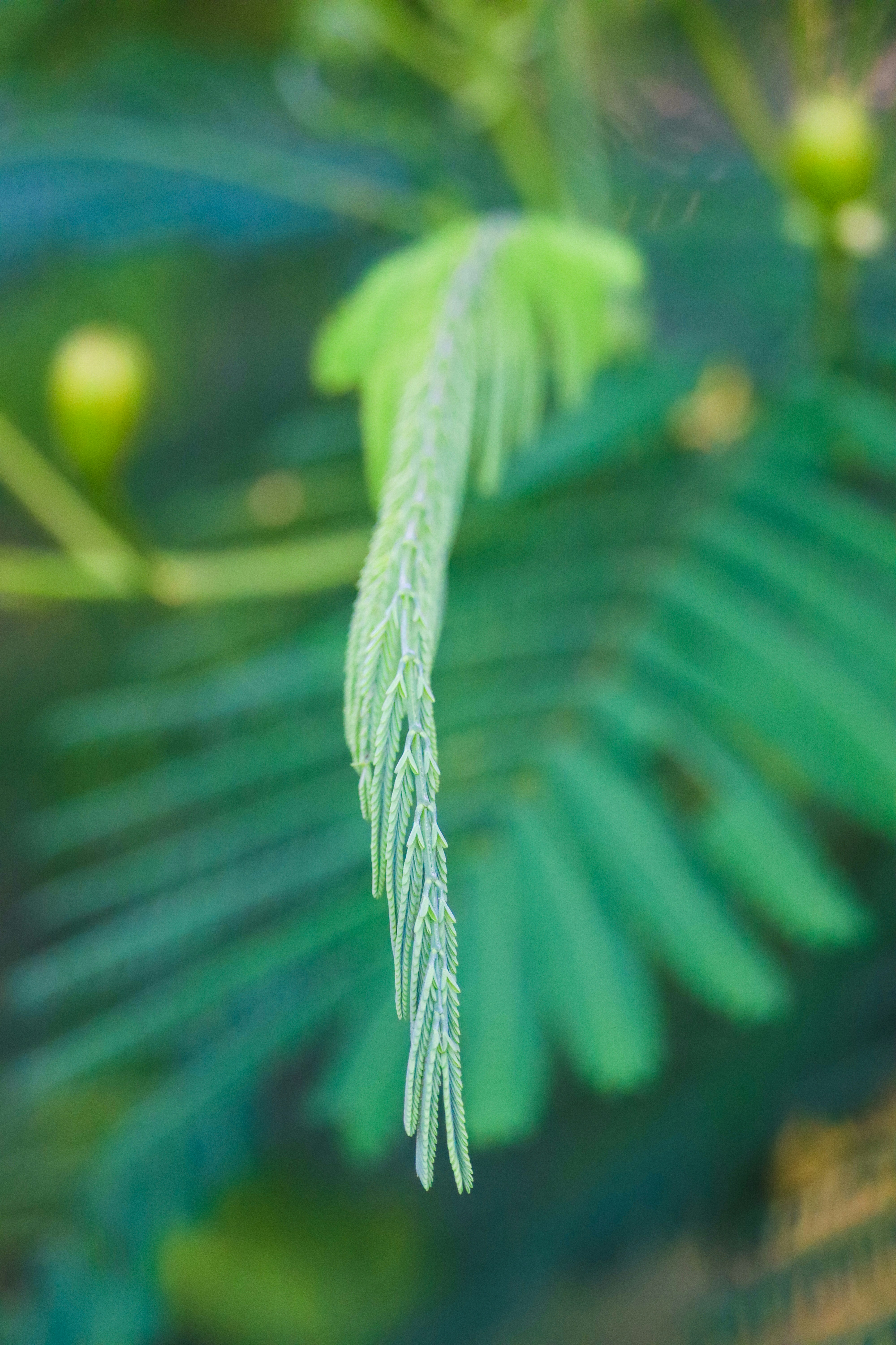 Photo by Soonam Wooeser with Canon EOS 200D Mark II