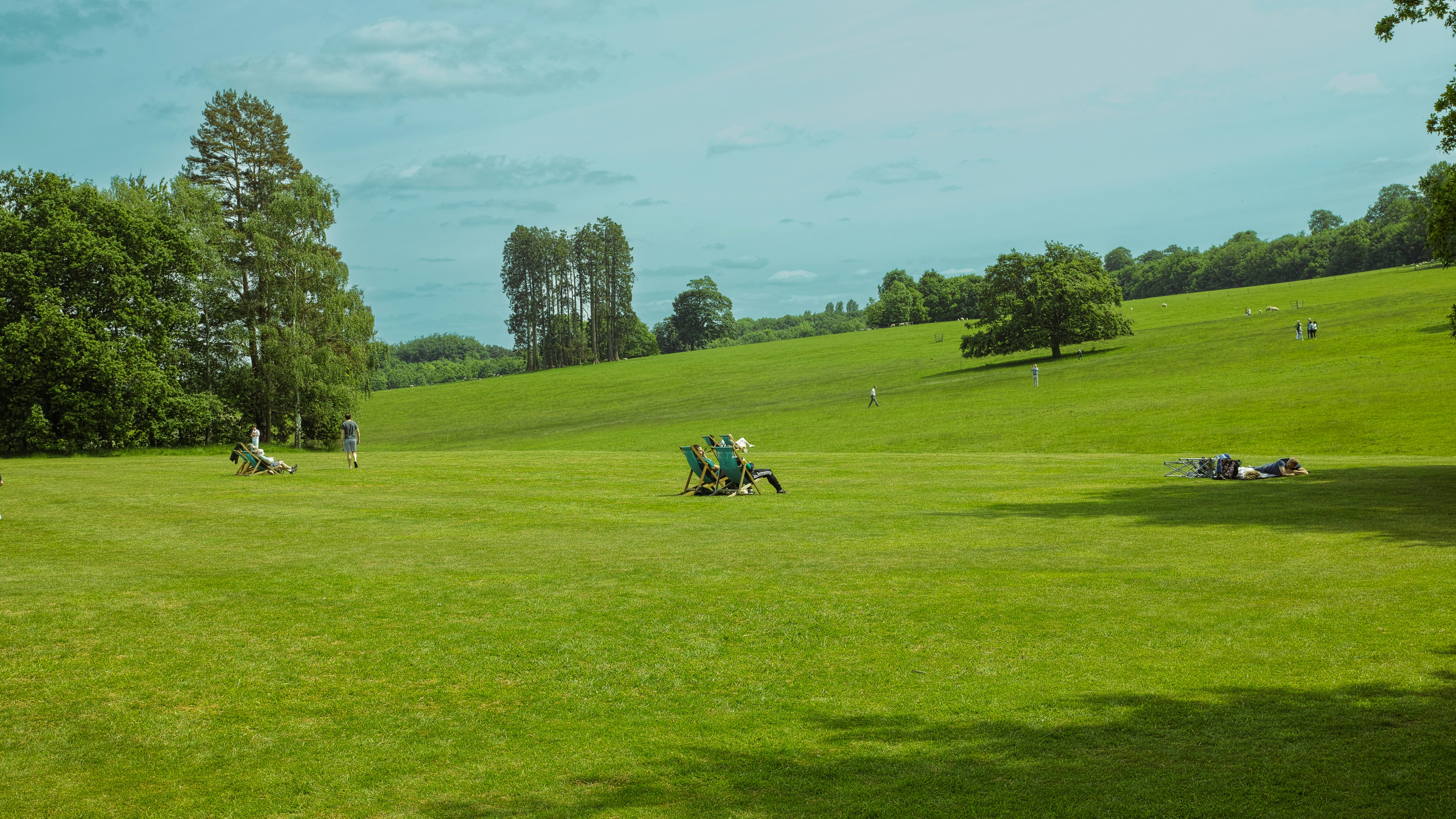 Green park with riders on horses across a sunlit field under a pale blue sky. A tranquil landscape photograph capturing a casual equestrian moment.