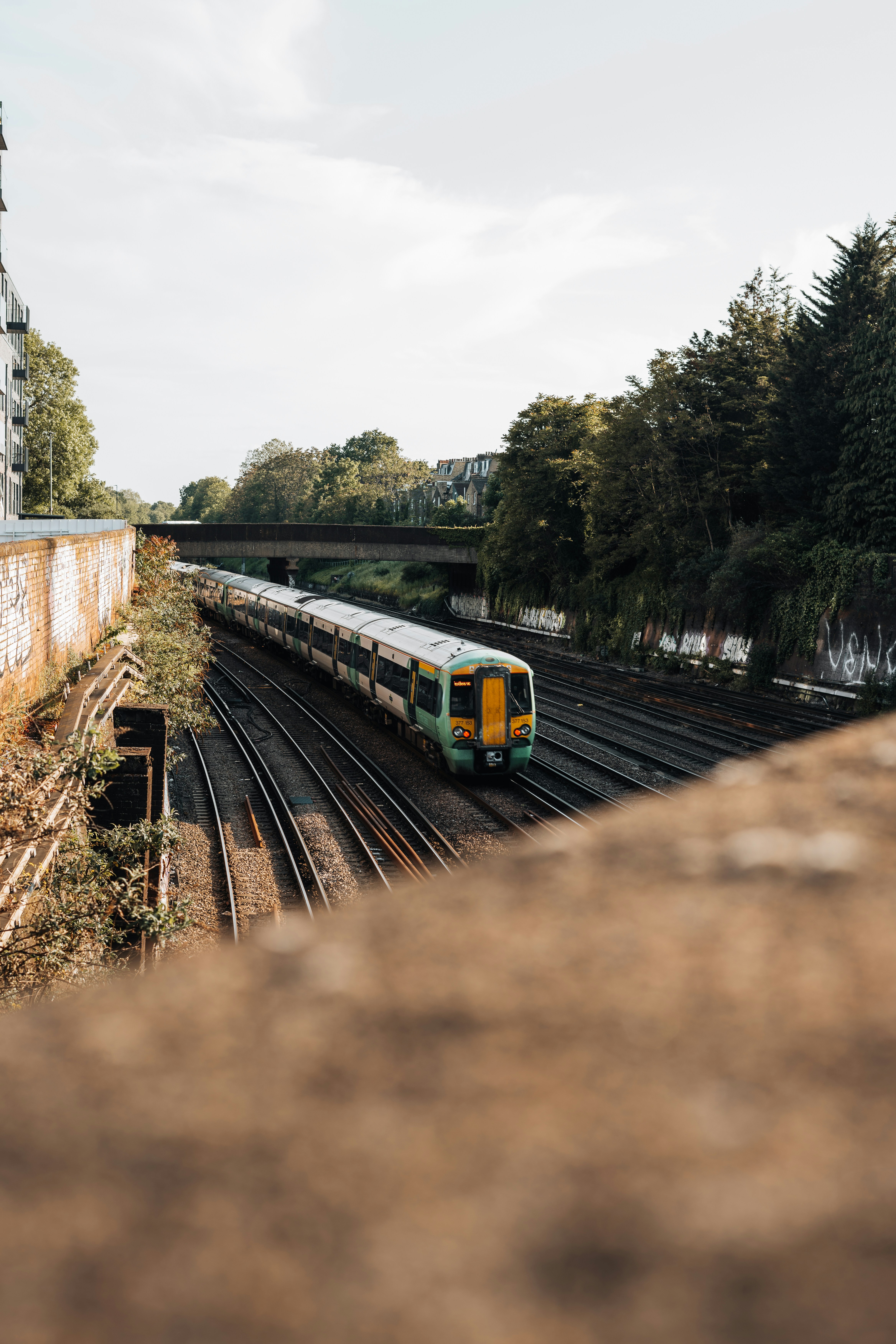 A train traveling down train tracks next to a forest photo – Free ...