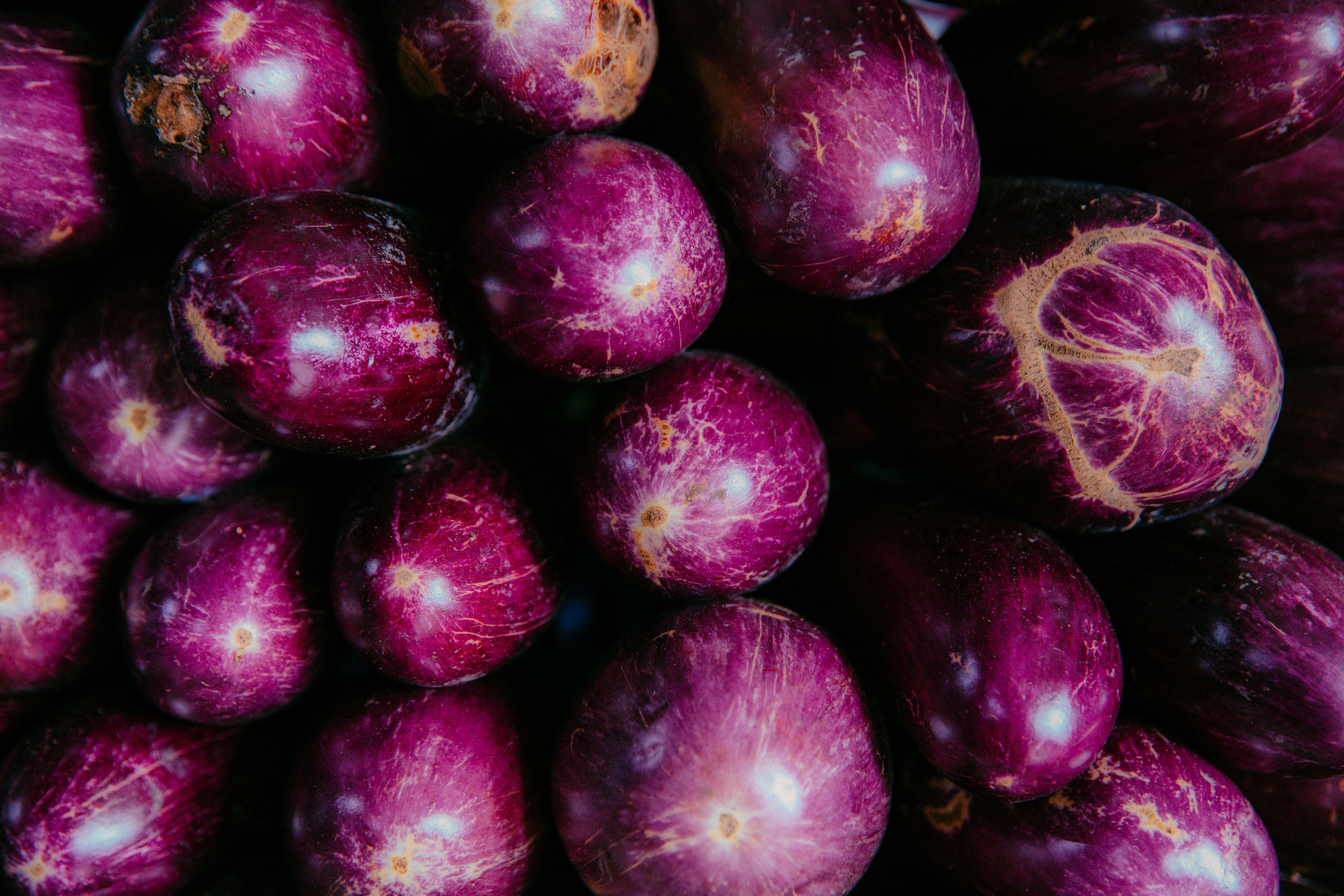 Velvet Indigo: A tight cluster of glossy purple eggplants