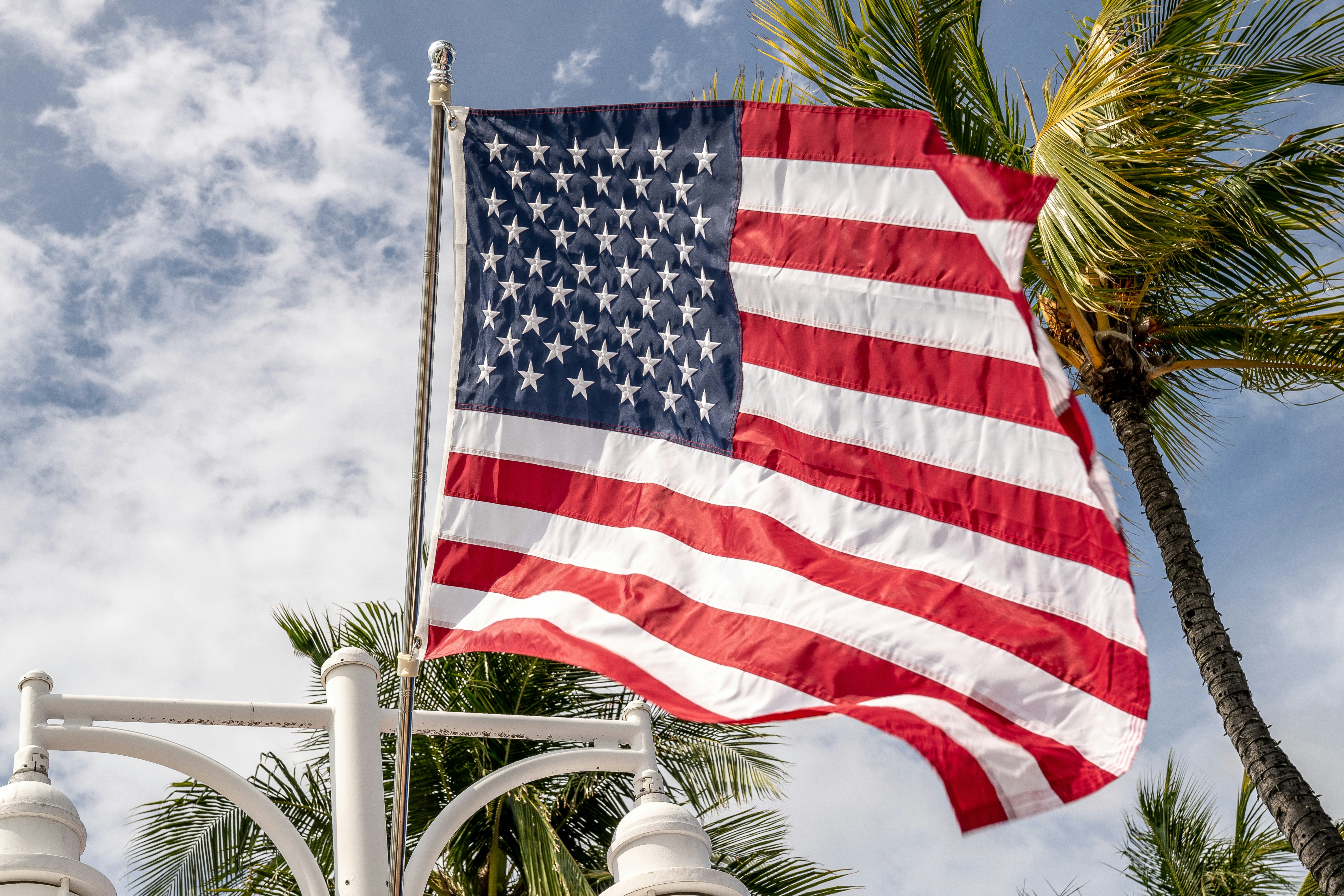 Stars and Stripes in a Coastal Breeze Between Palms