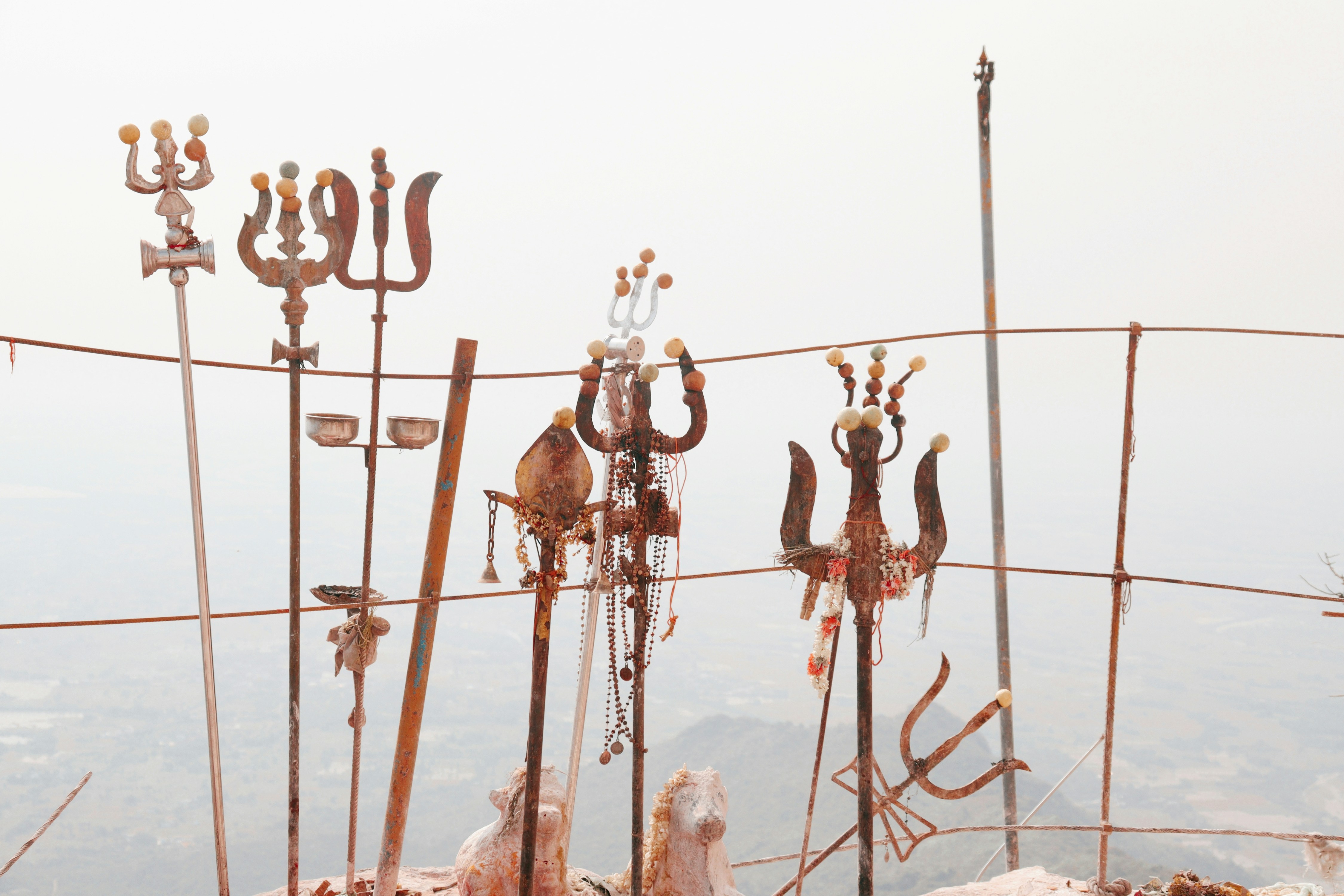 A bunch of strange looking objects on a pole photo – Free பருவதமாலை ...